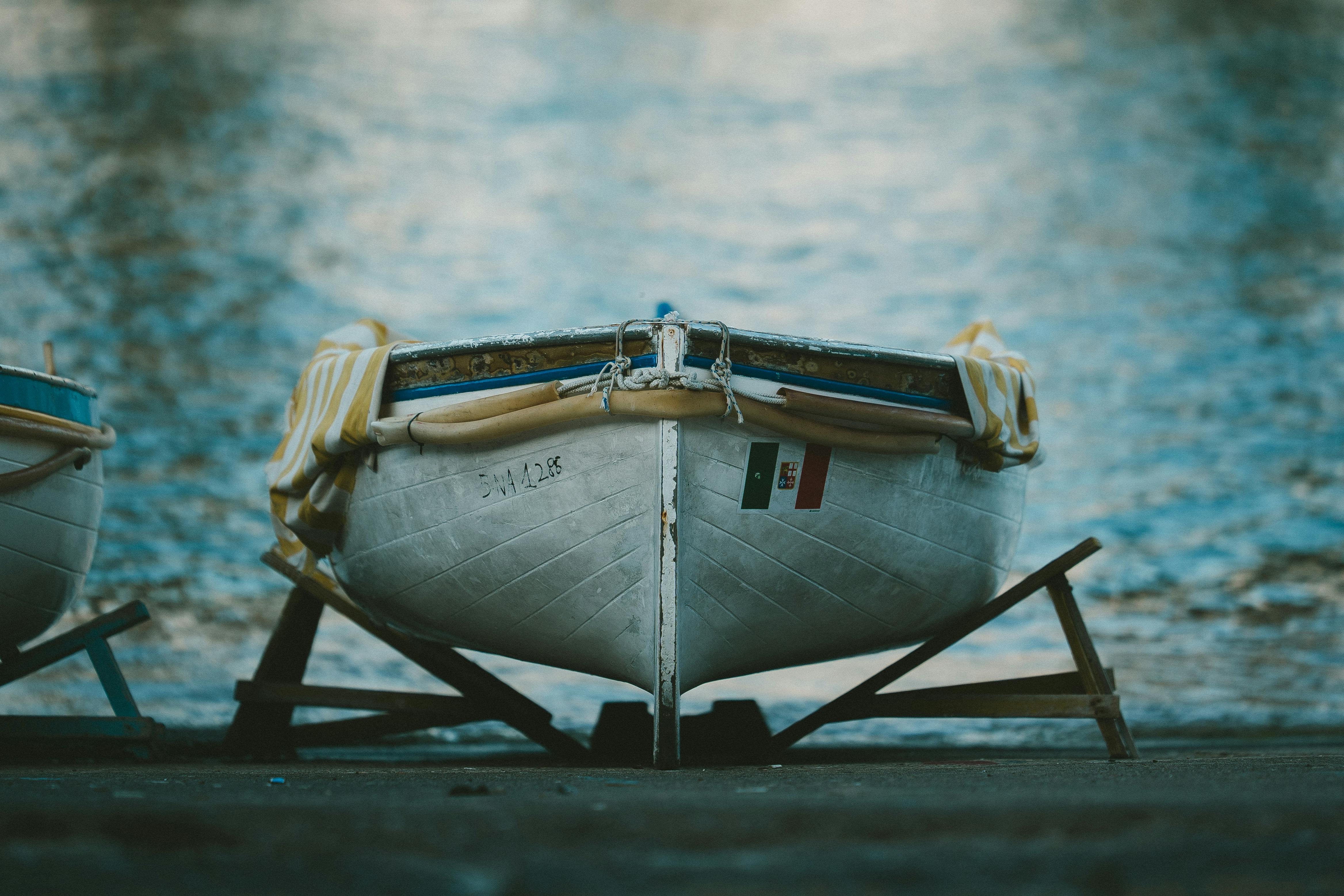 Wood Picker Photos, Download The BEST Free Wood Picker Stock Photos ...