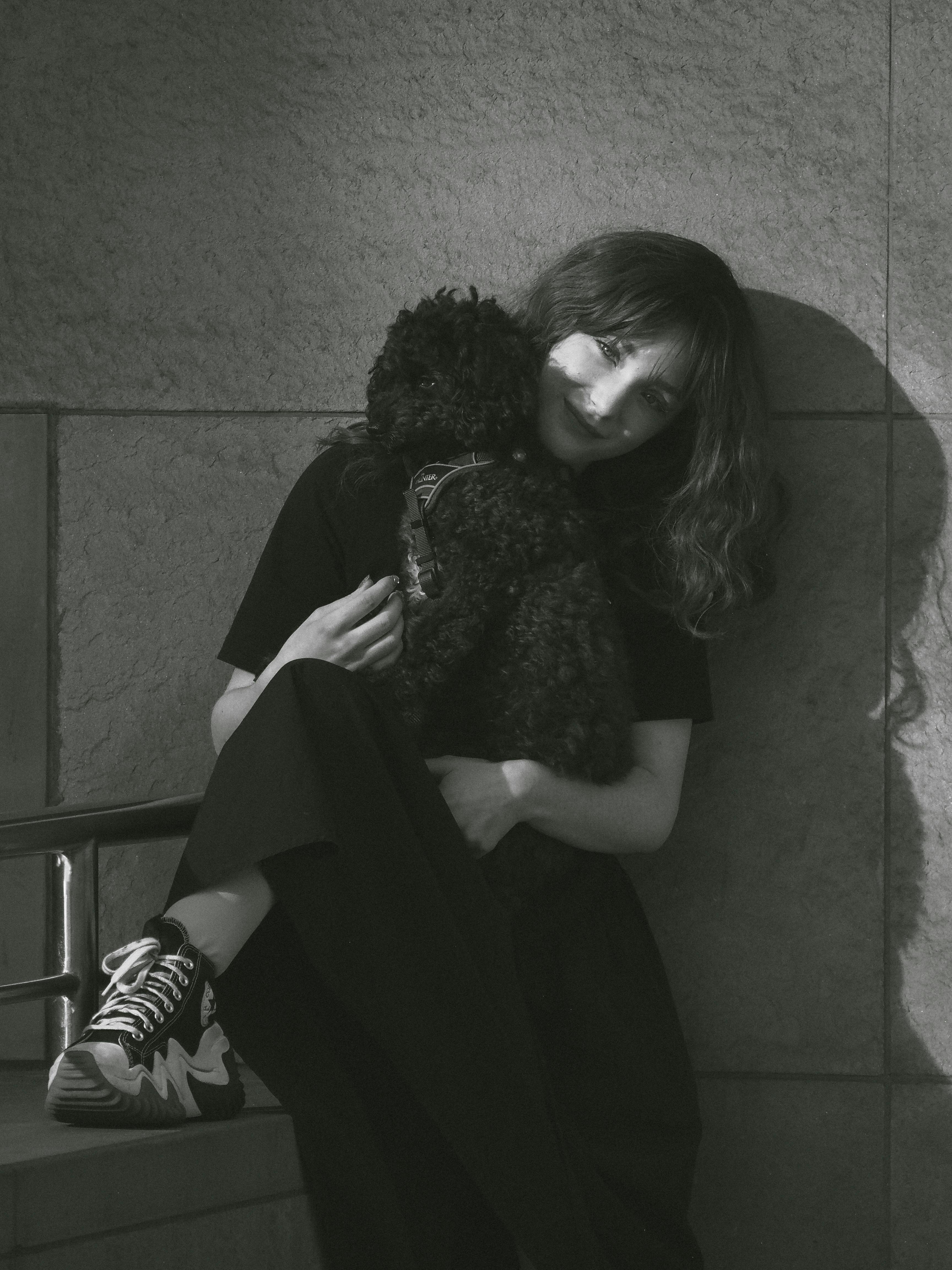 Reminder Dog Photos, Download The BEST Free Reminder Dog Stock Photos ...