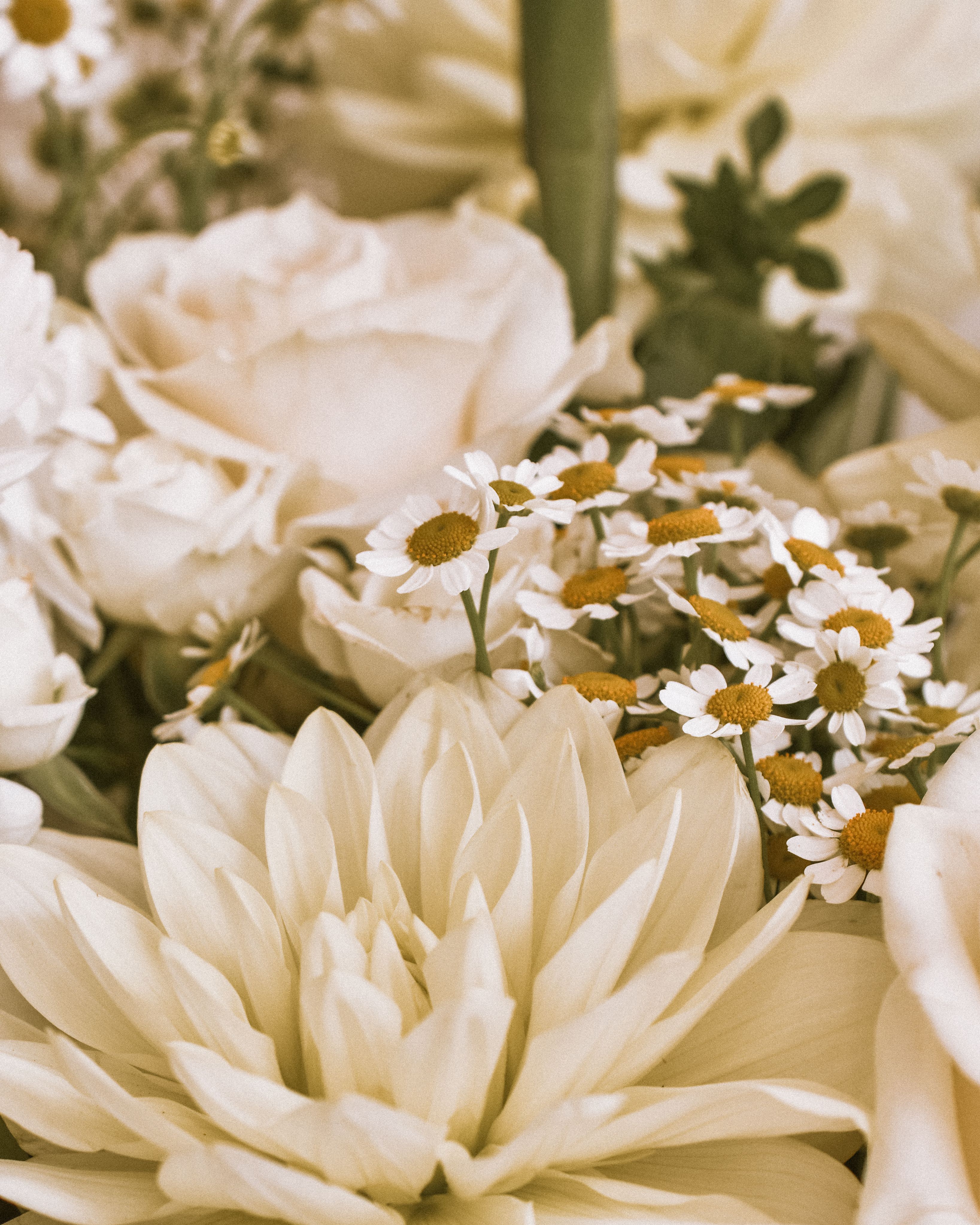 Close-up of a Flowers Arrangement with White Flowers · Free Stock Photo