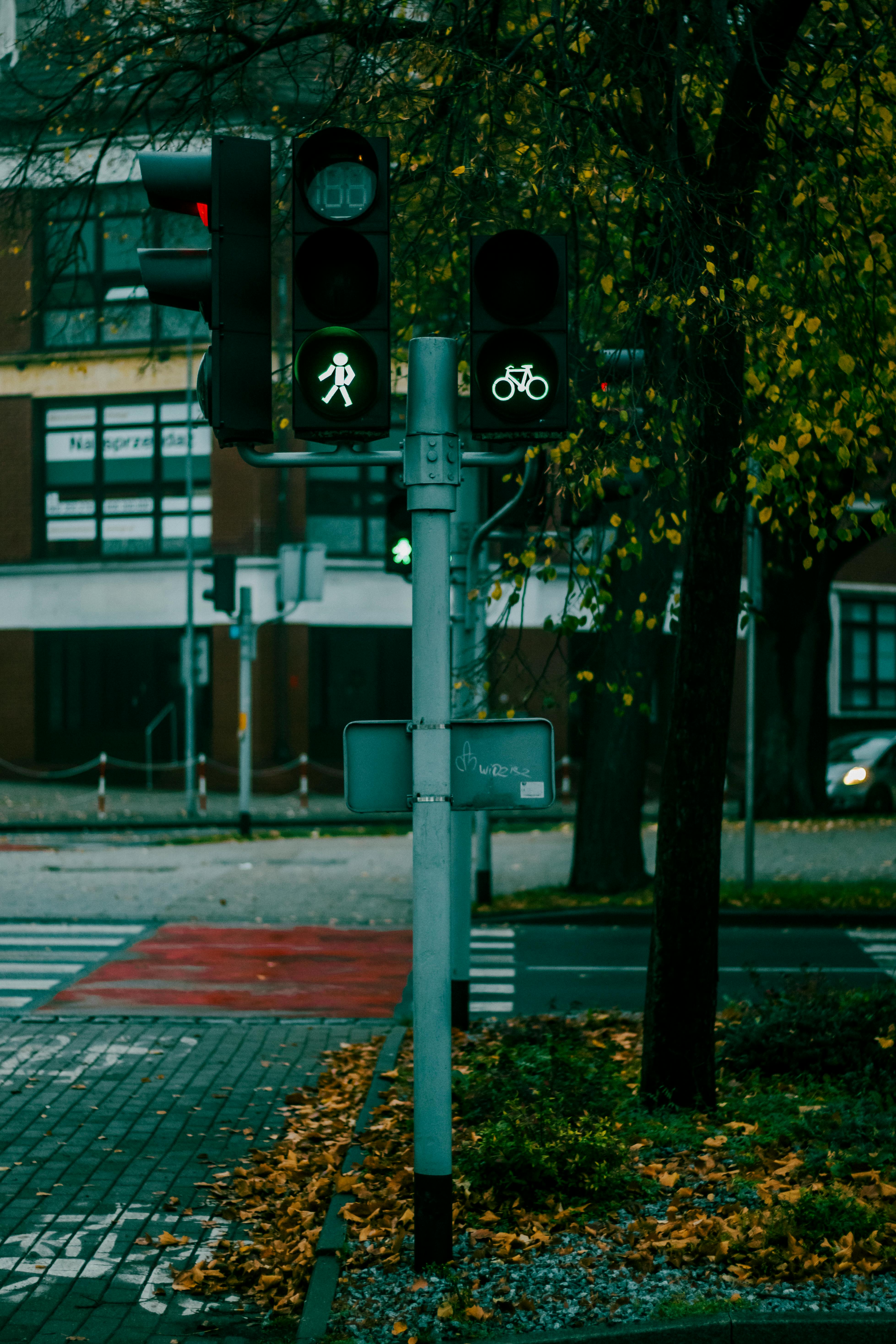 Traffic Lights at the Crosswalk and Bicycle Crossing · Free Stock Photo