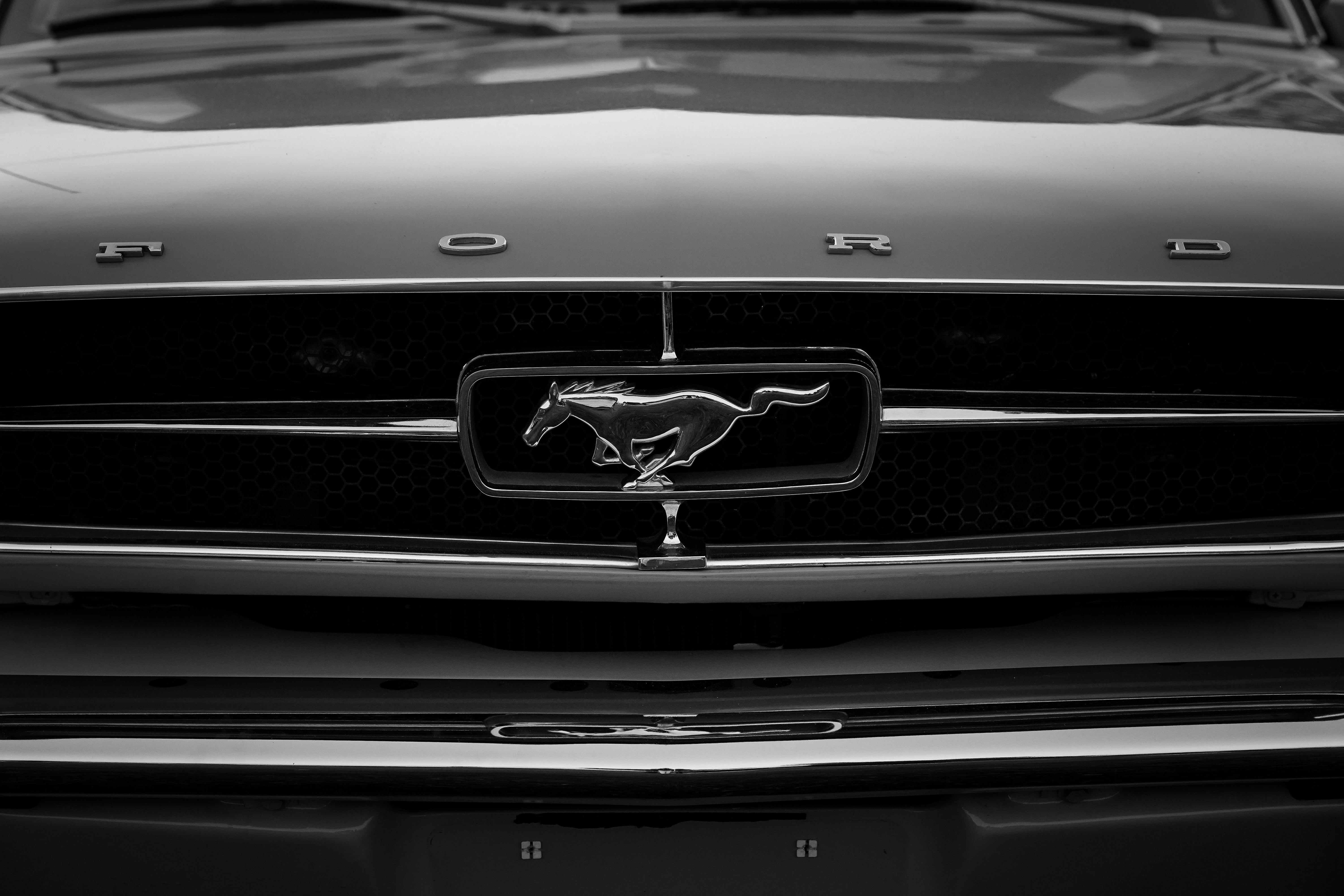 Logo of a Car on the Grill · Free Stock Photo