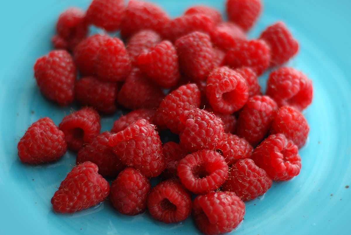 Blue Raspberries Photos, Download The BEST Free Blue Raspberries Stock ...