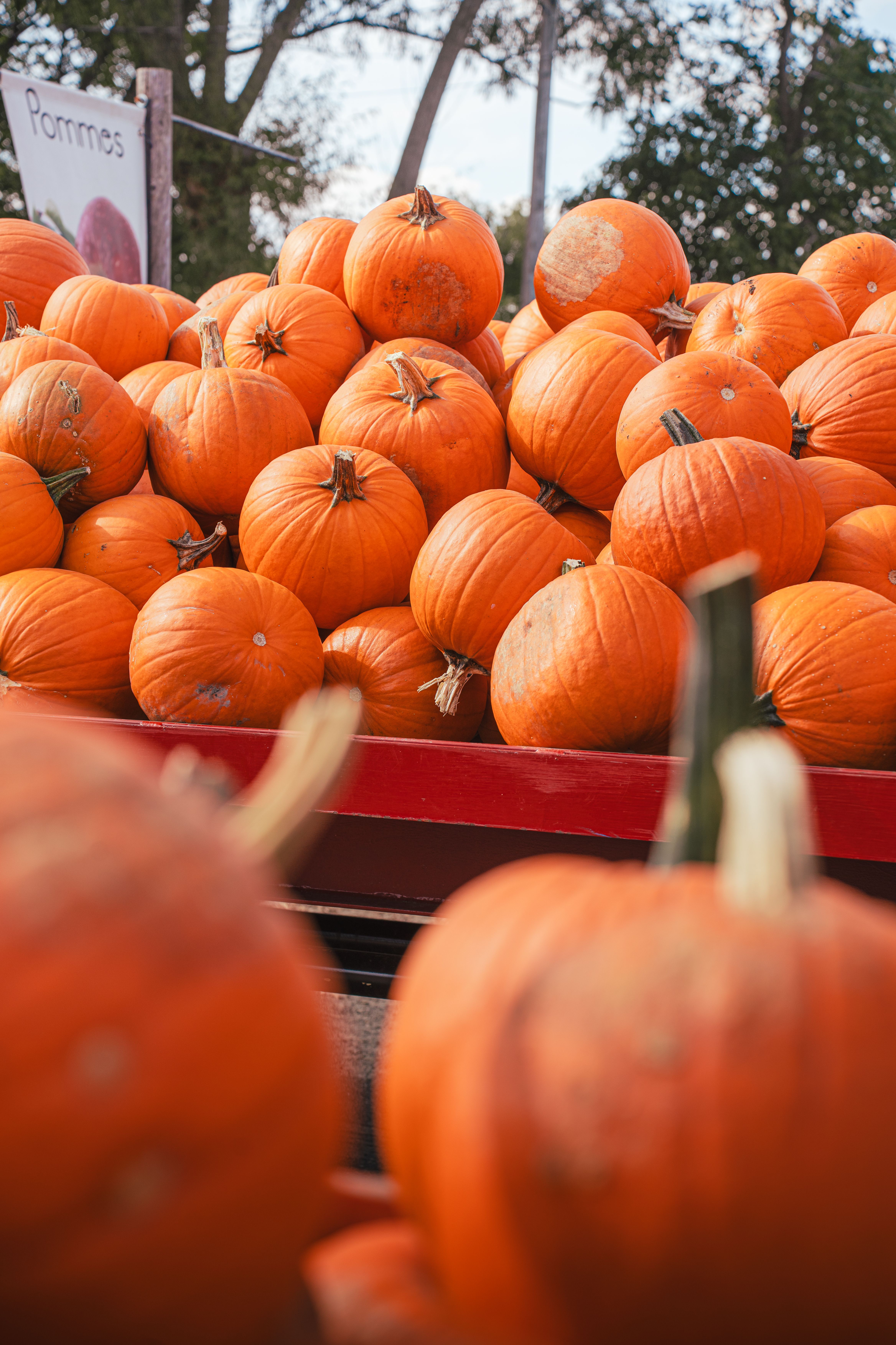 Fall Flea Market Trends Photos, Download The BEST Free Fall Flea Market ...