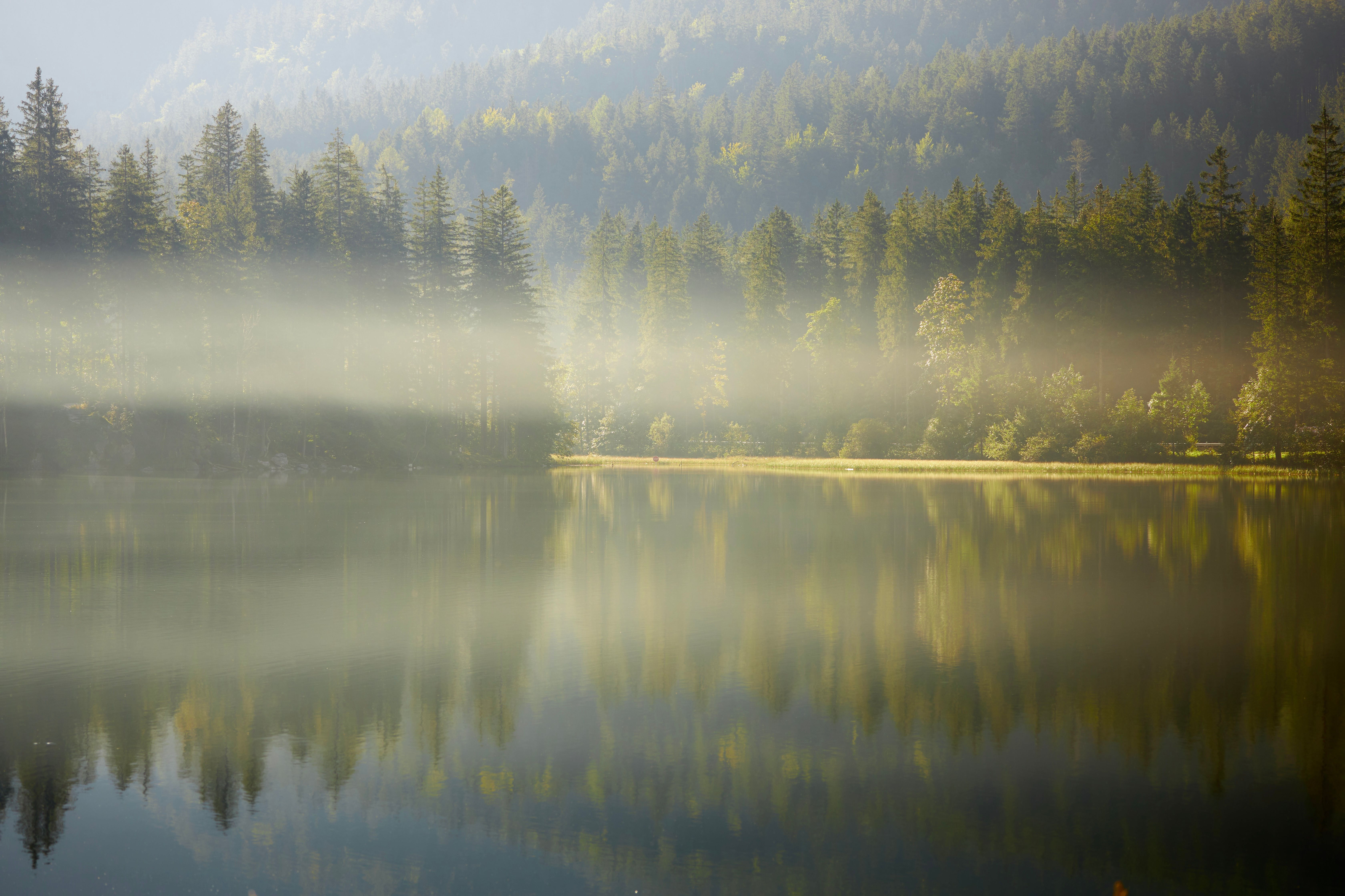 Fog Over Water Wallpapers