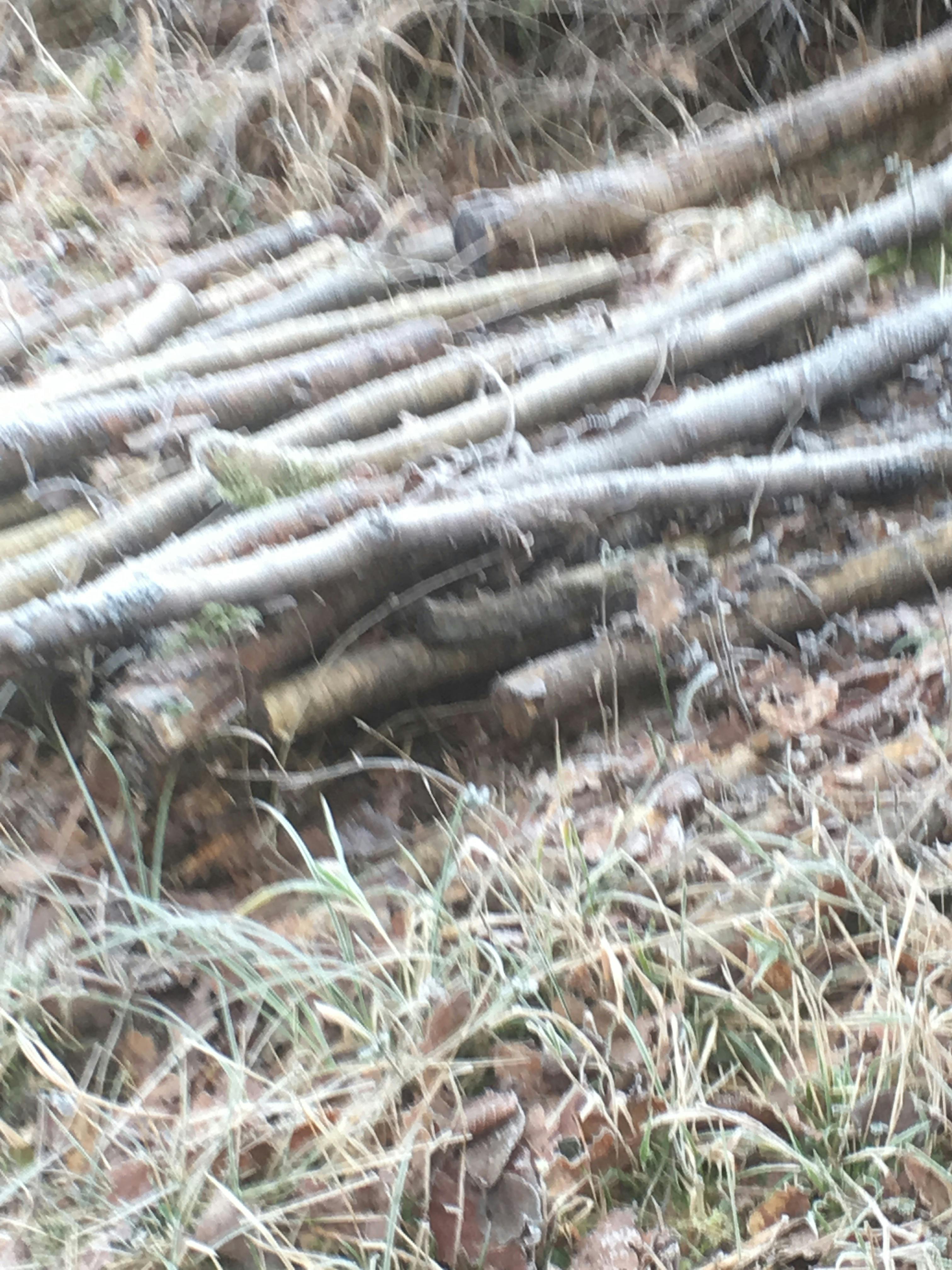 Foto de stock gratuita sobre alto, arquitecto moderno, arquitectura ...