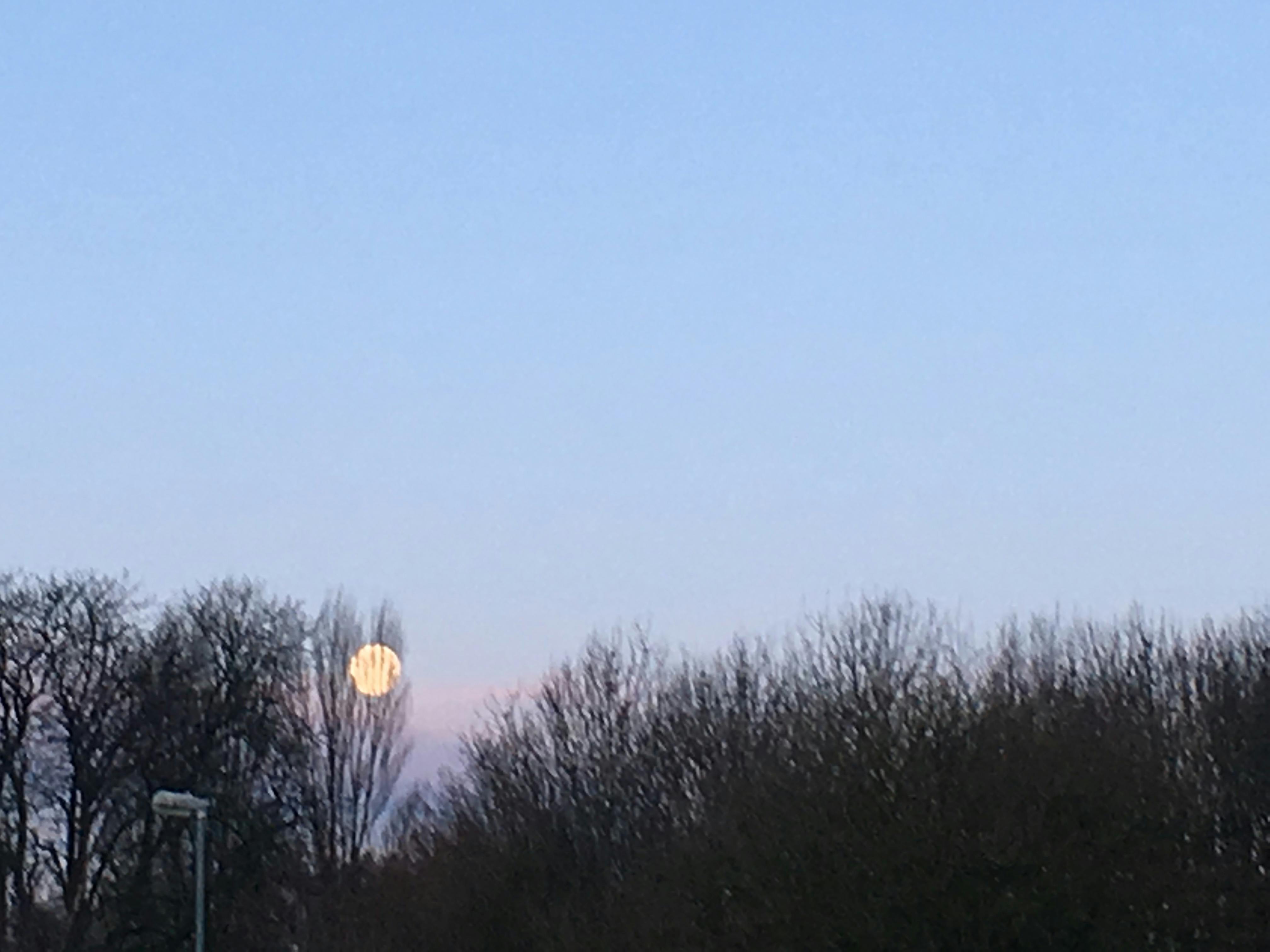 Foto de stock gratuita sobre alto, arquitecto moderno, arquitectura ...