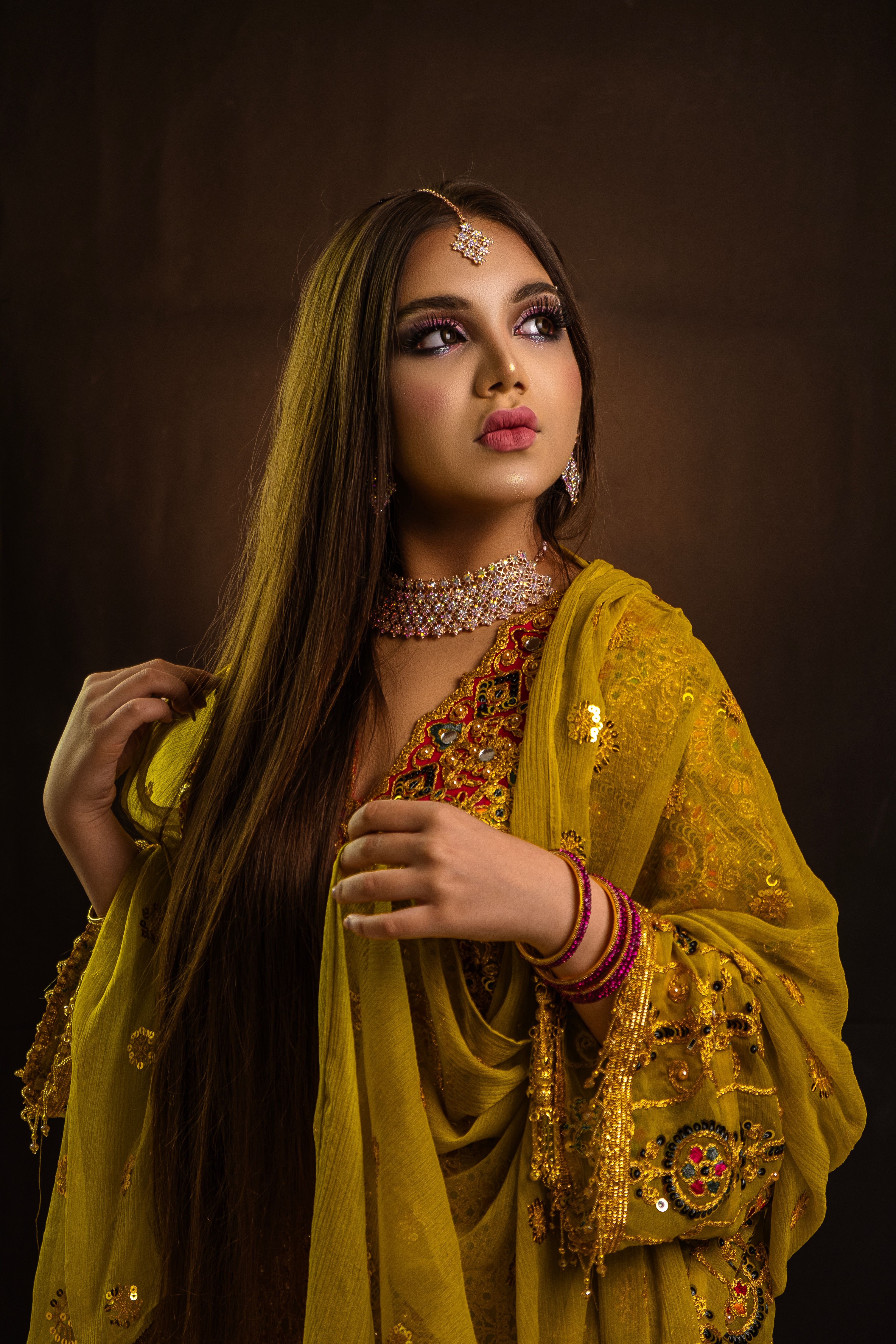 Long-Haired Model Wearing an Ornate Sari · Free Stock Photo