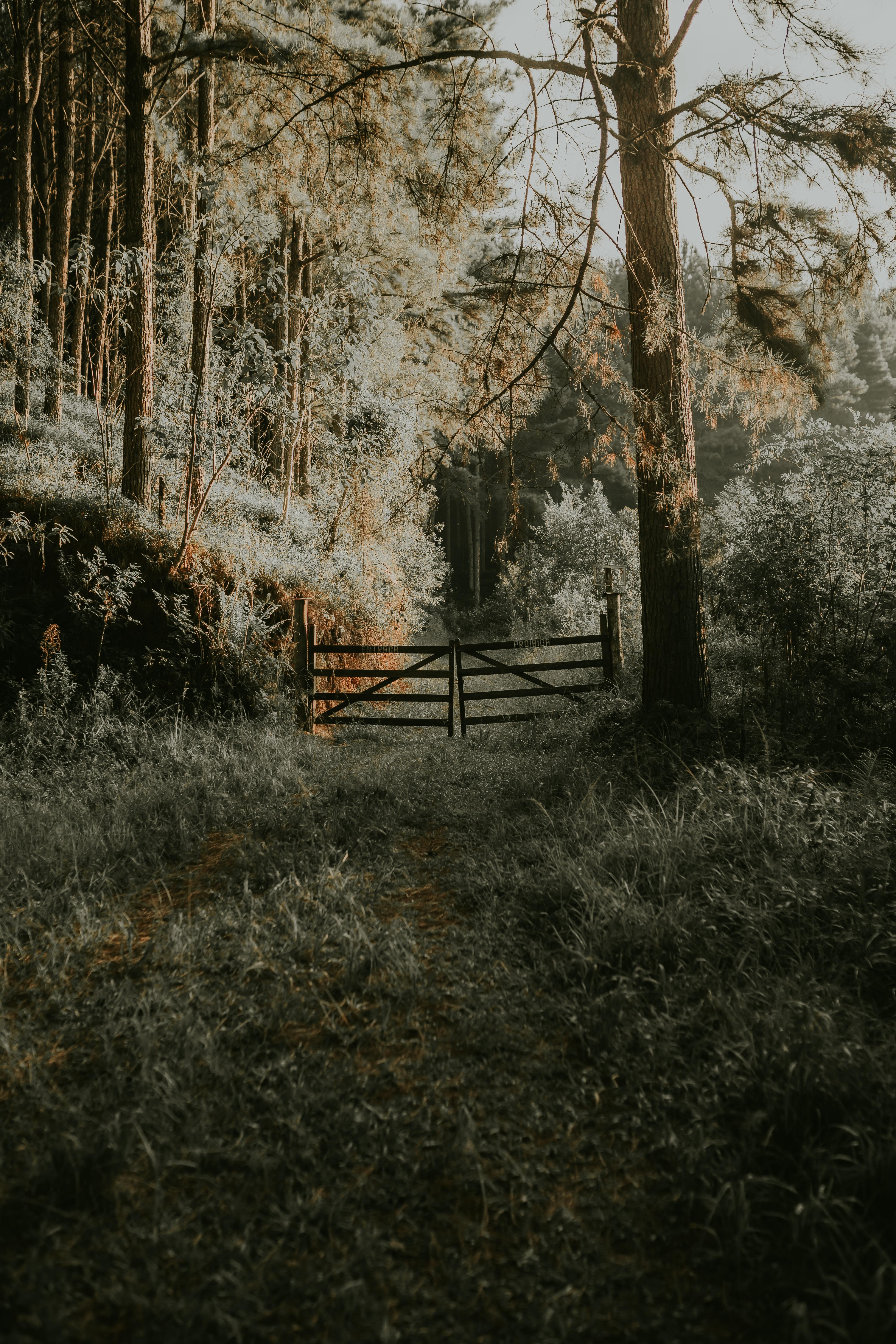 Wooden Gate in Countryside · Free Stock Photo