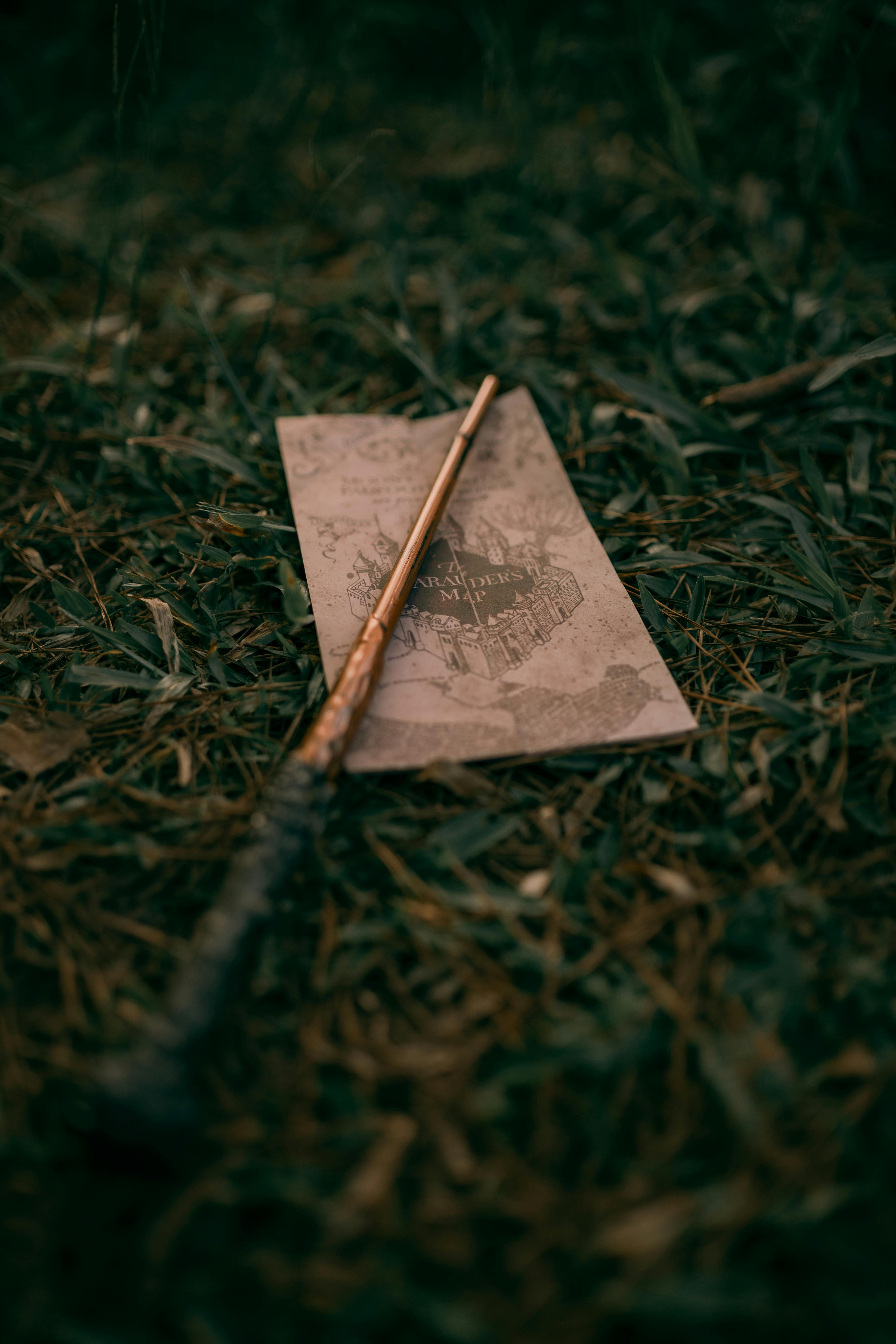 Magic Exists Photos, Download The BEST Free Magic Exists Stock Photos ...