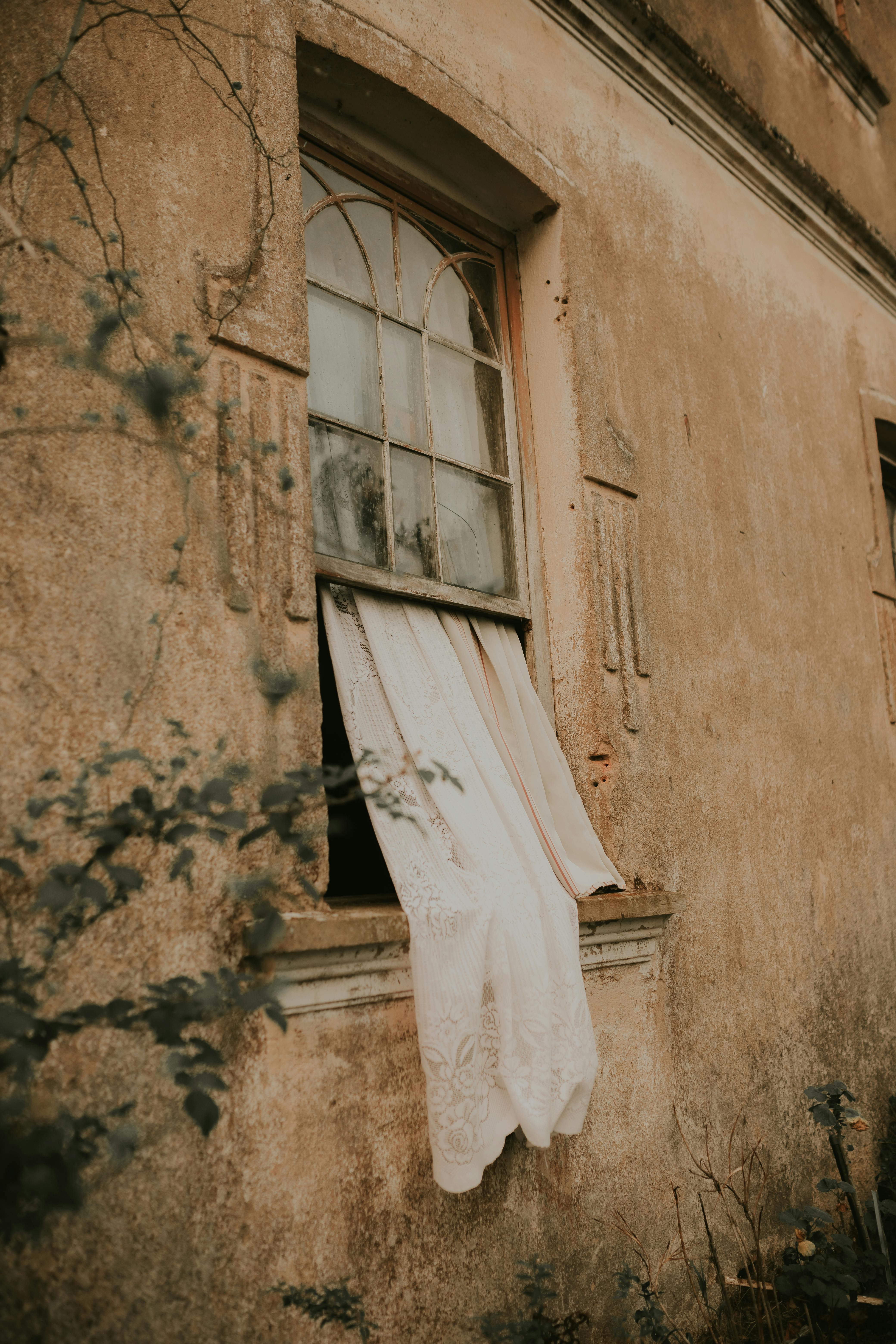 Open Boe Photos, Download The BEST Free Open Boe Stock Photos & HD Images