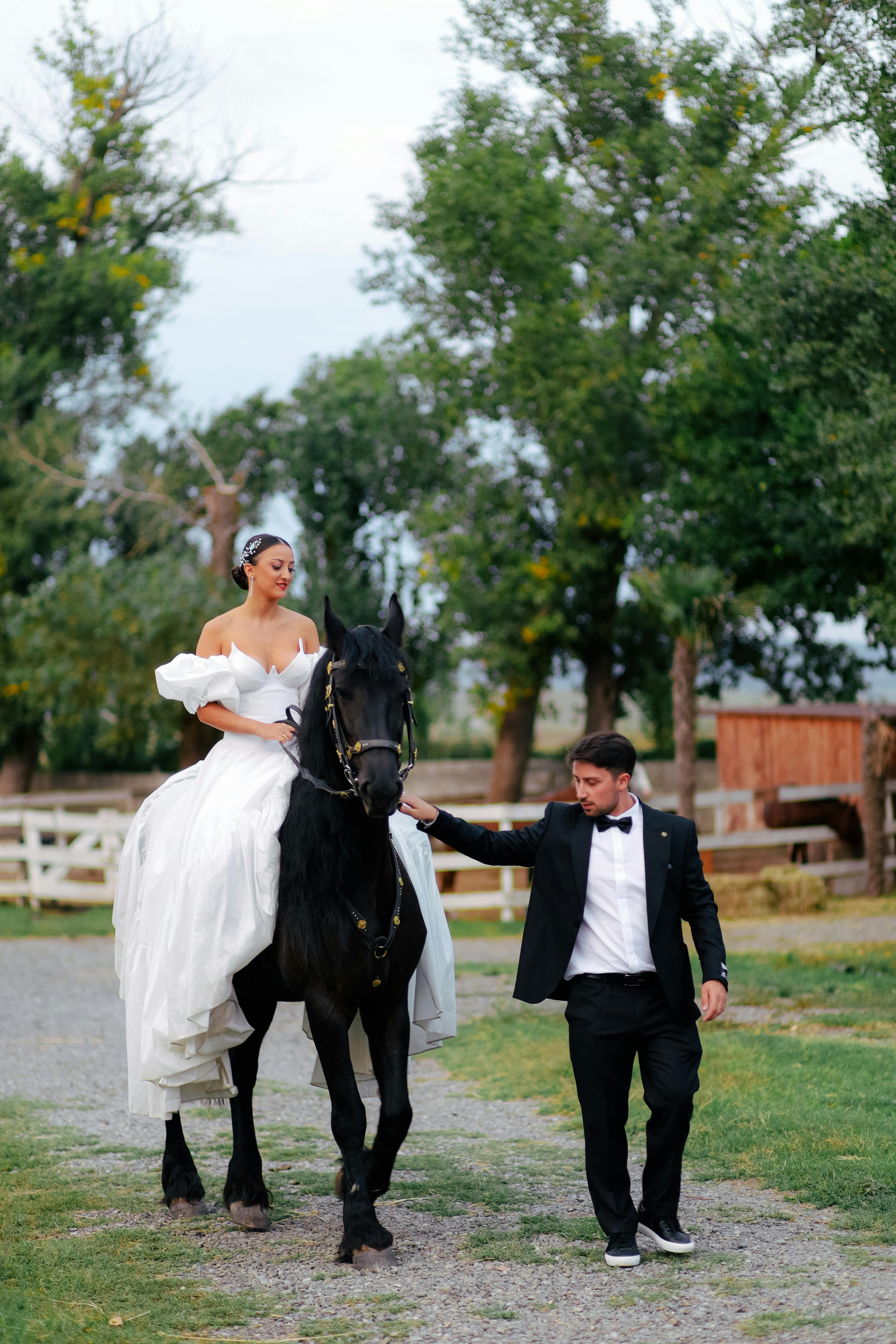 Groom in Suit Leading Black Horse with Bride Horseback Riding · Free ...