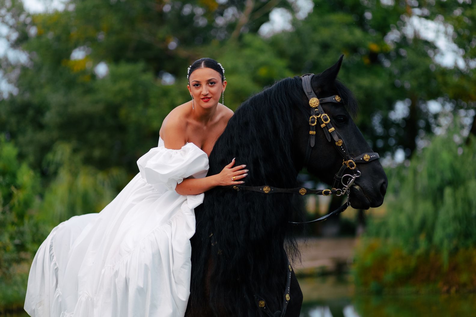 Colors of Friesian Horses and Their Unique Traits Explained