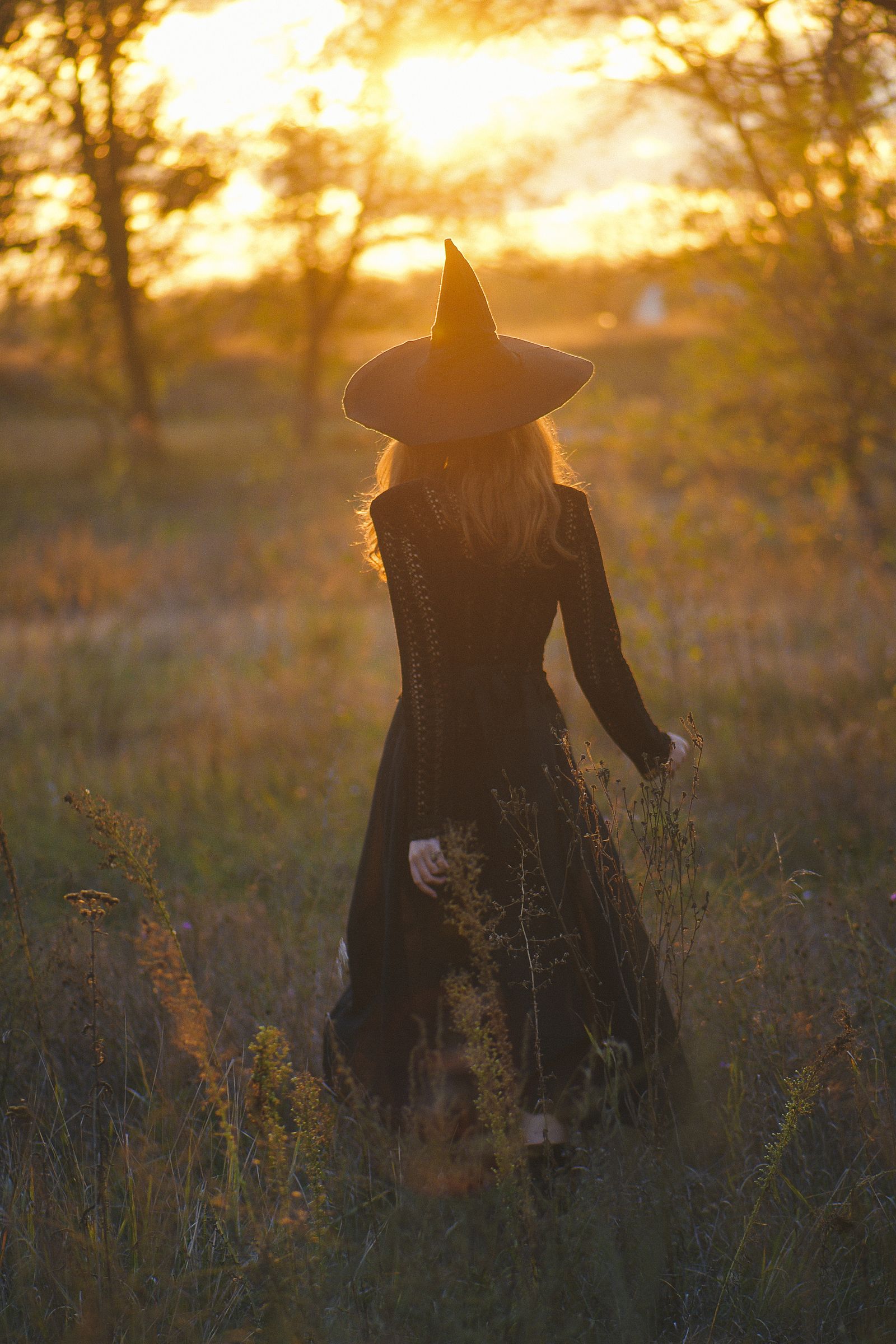 Autumn Spooky Desktop Photos, Download The BEST Free Autumn Spooky ...