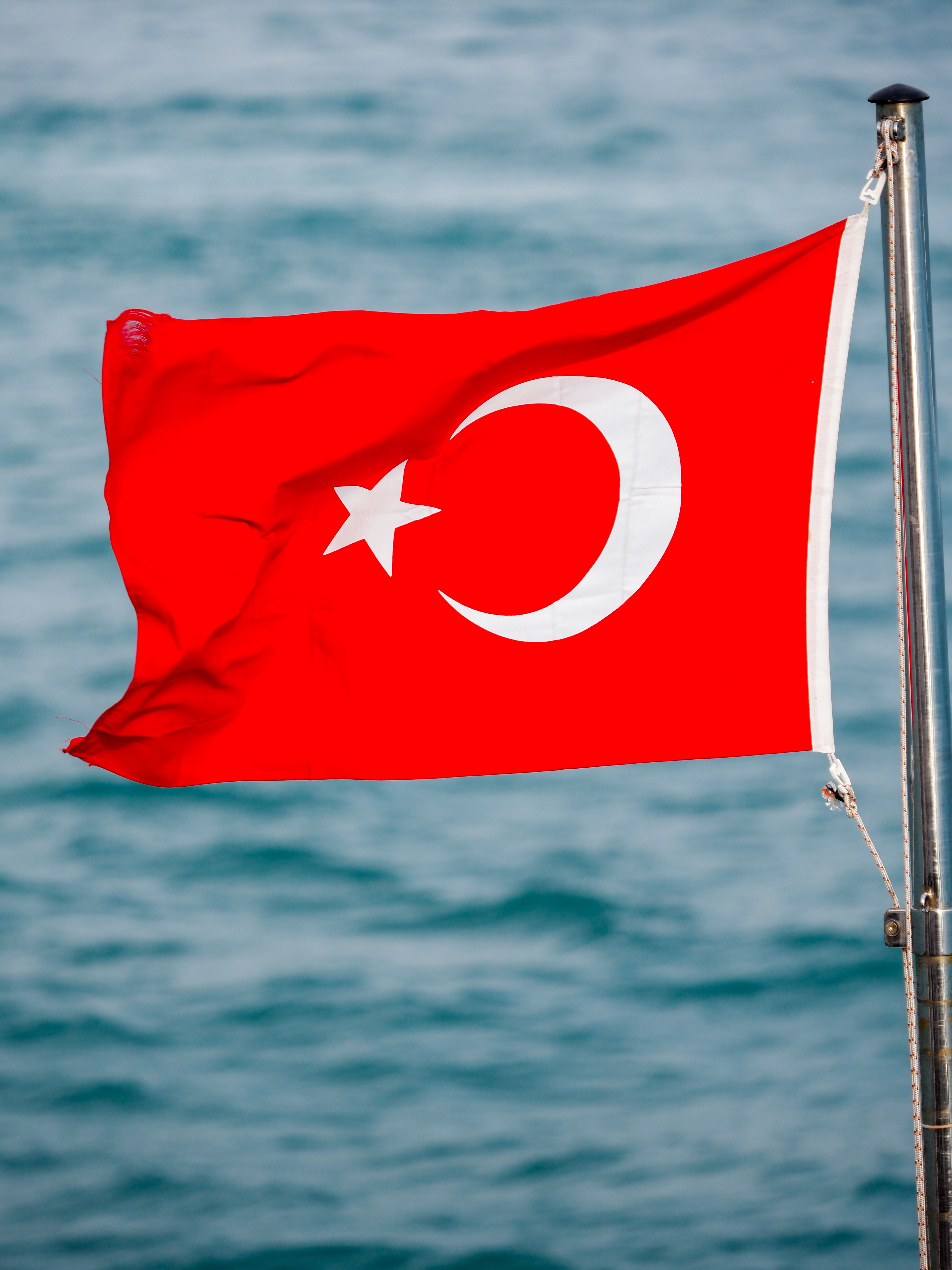 Flag of Turkey · Free Stock Photo
