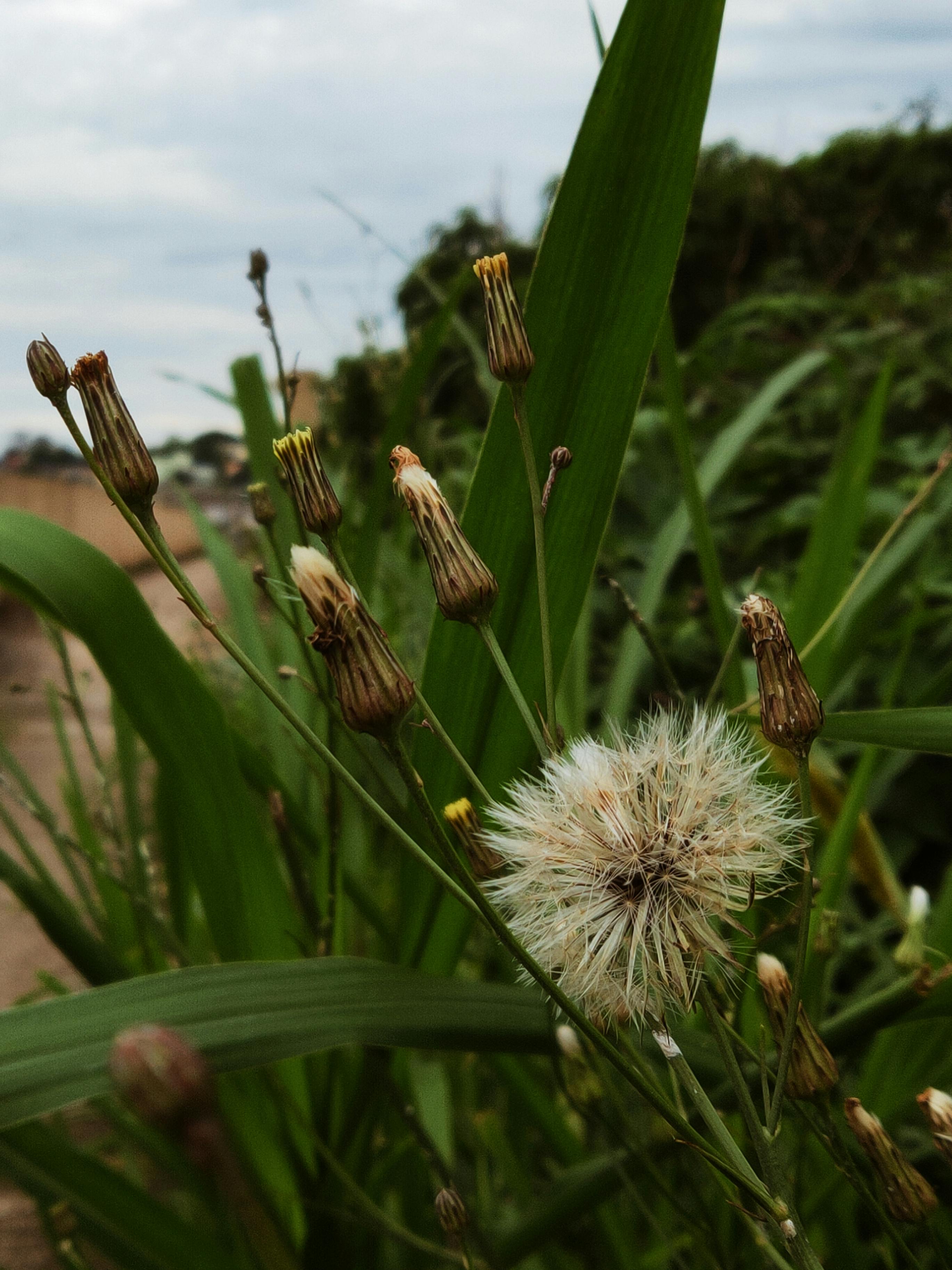 Daniel Bertoli - 사진