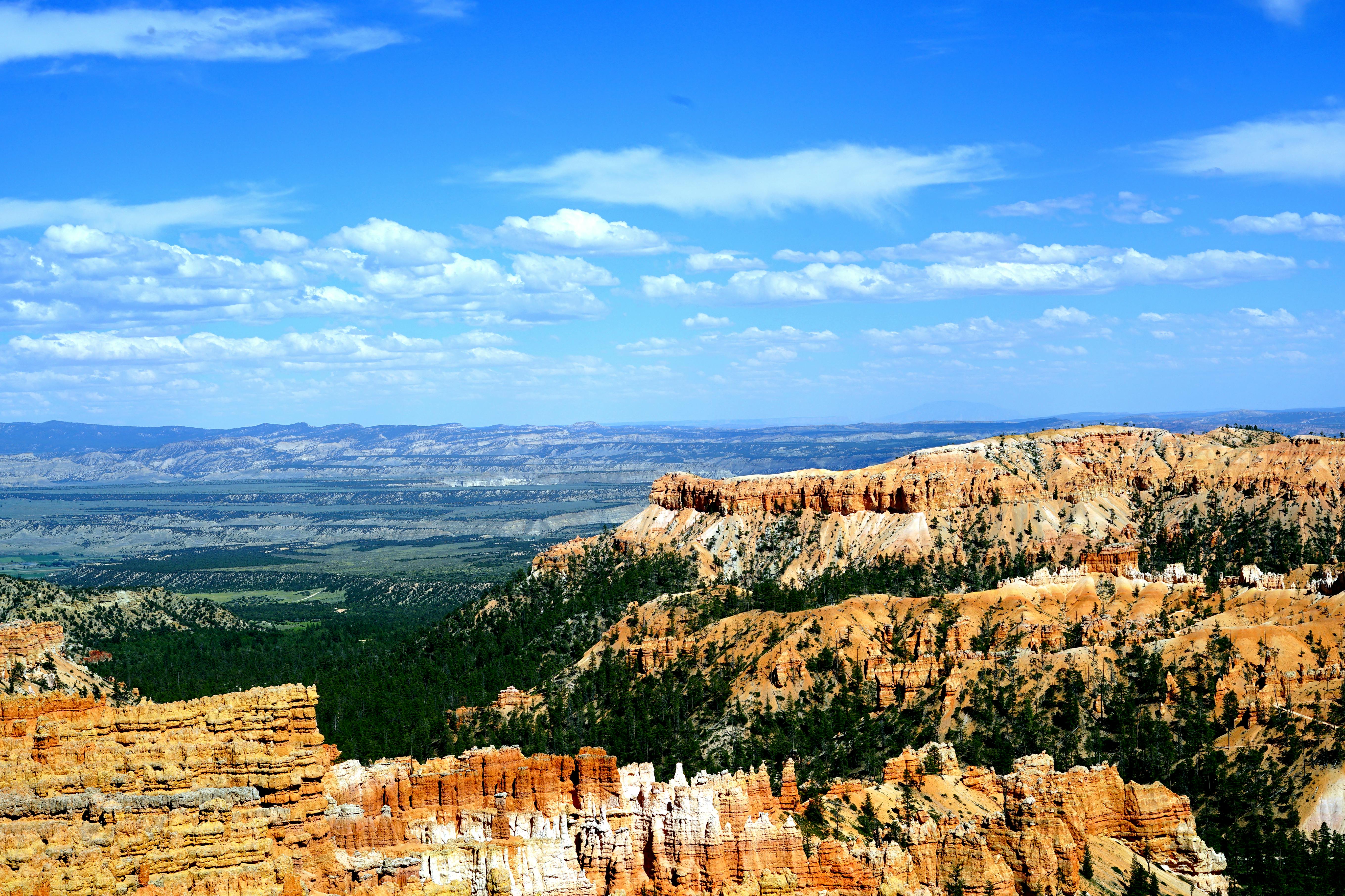 Foto de stock gratuita sobre bosque, bryce canyon, erosionado, estados ...
