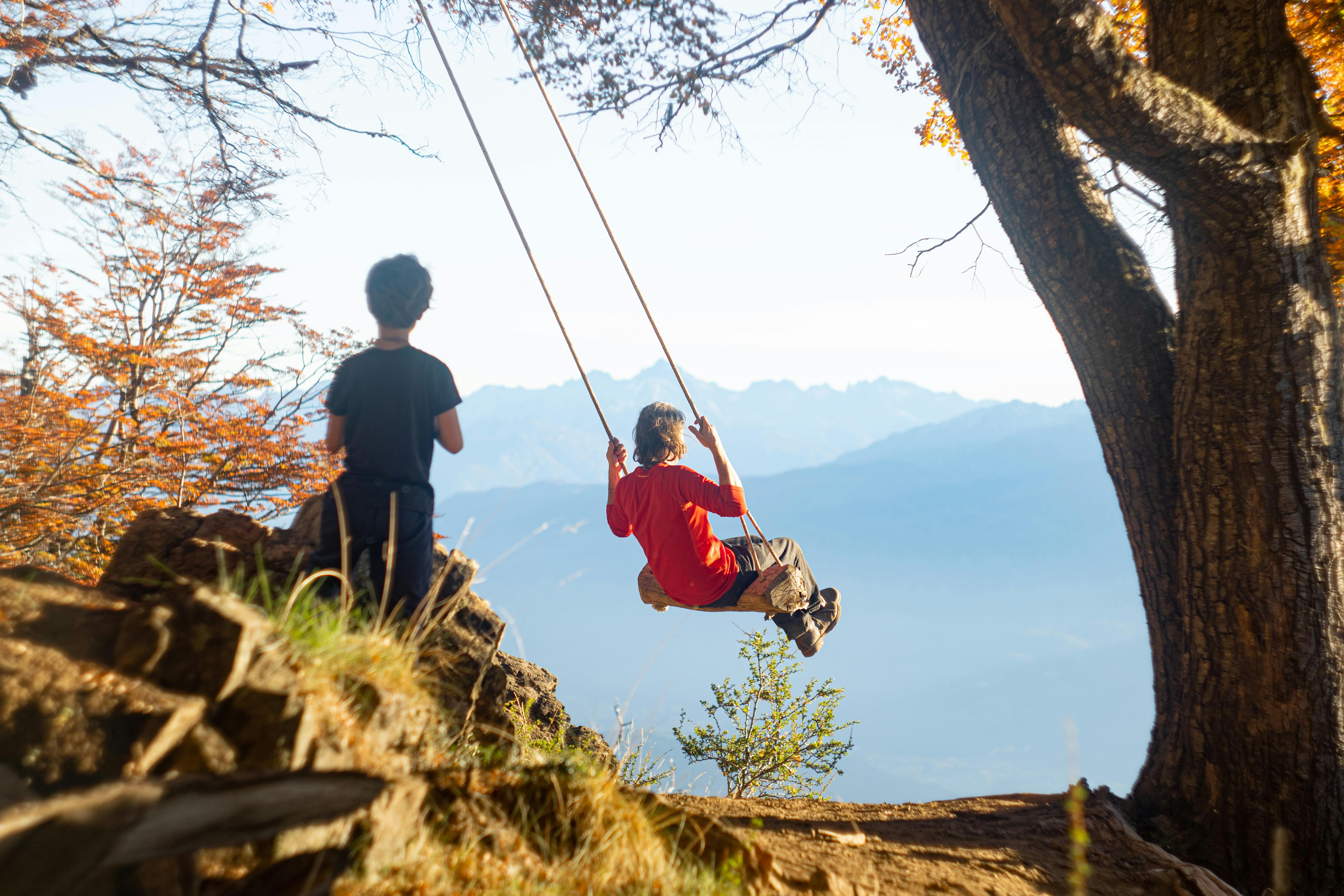 Kids On A Tree Photos, Download The BEST Free Kids On A Tree Stock ...