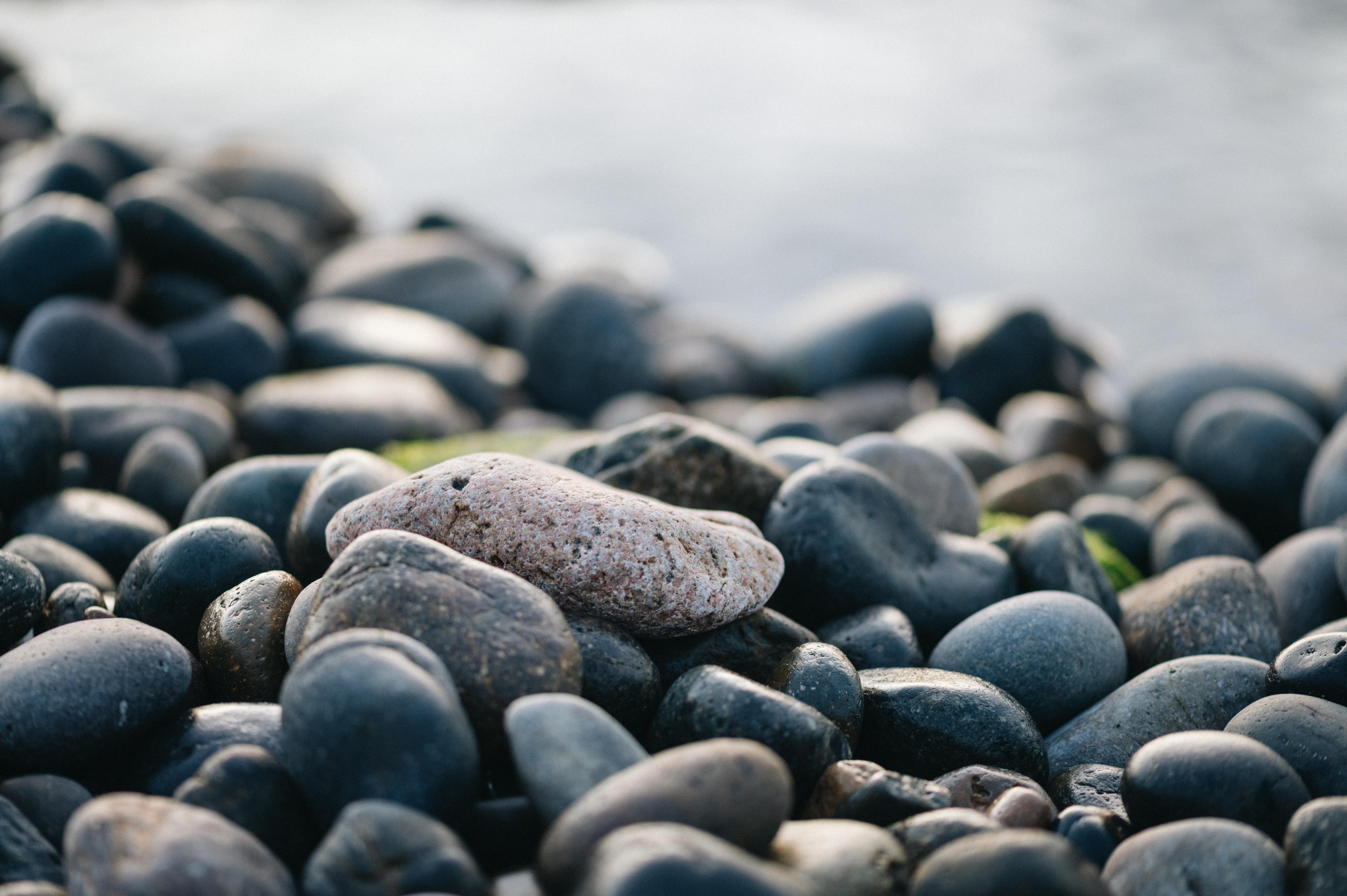 Stones on Beach · Free Stock Photo
