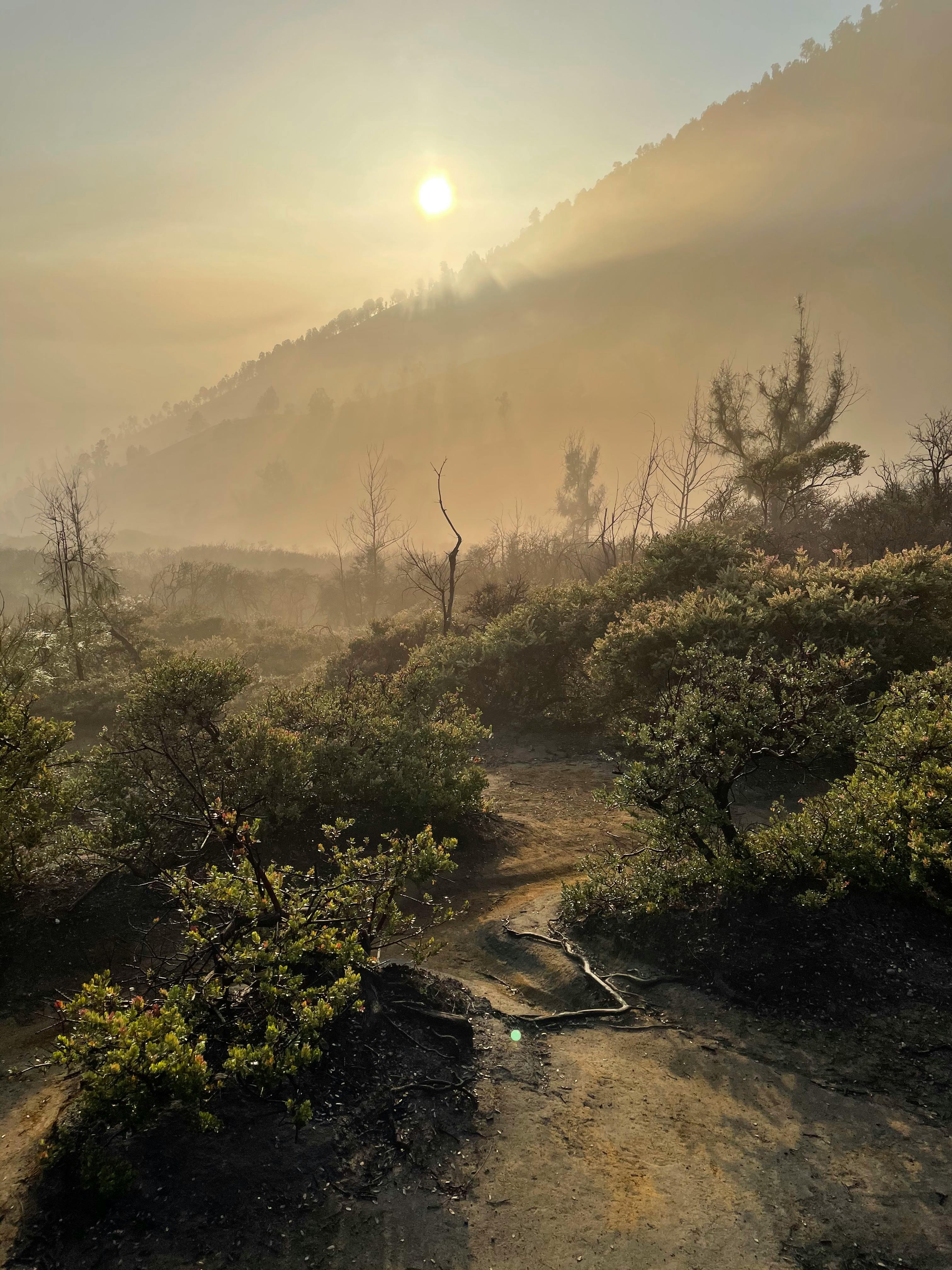 Sun Rising at Dawn over a Mountain · Free Stock Photo