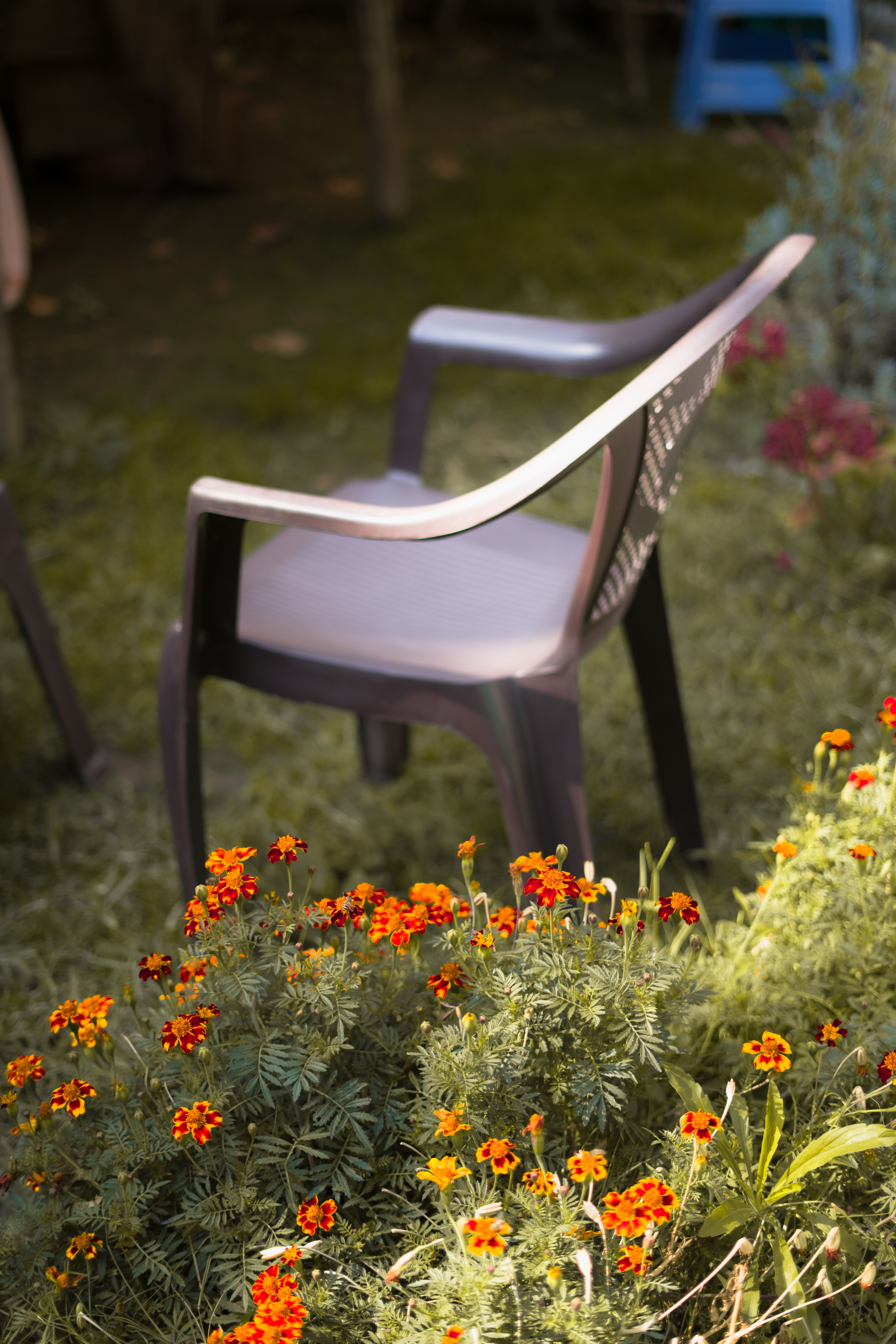 Plastic Chair Design Photos, Download The BEST Free Plastic Chair ...
