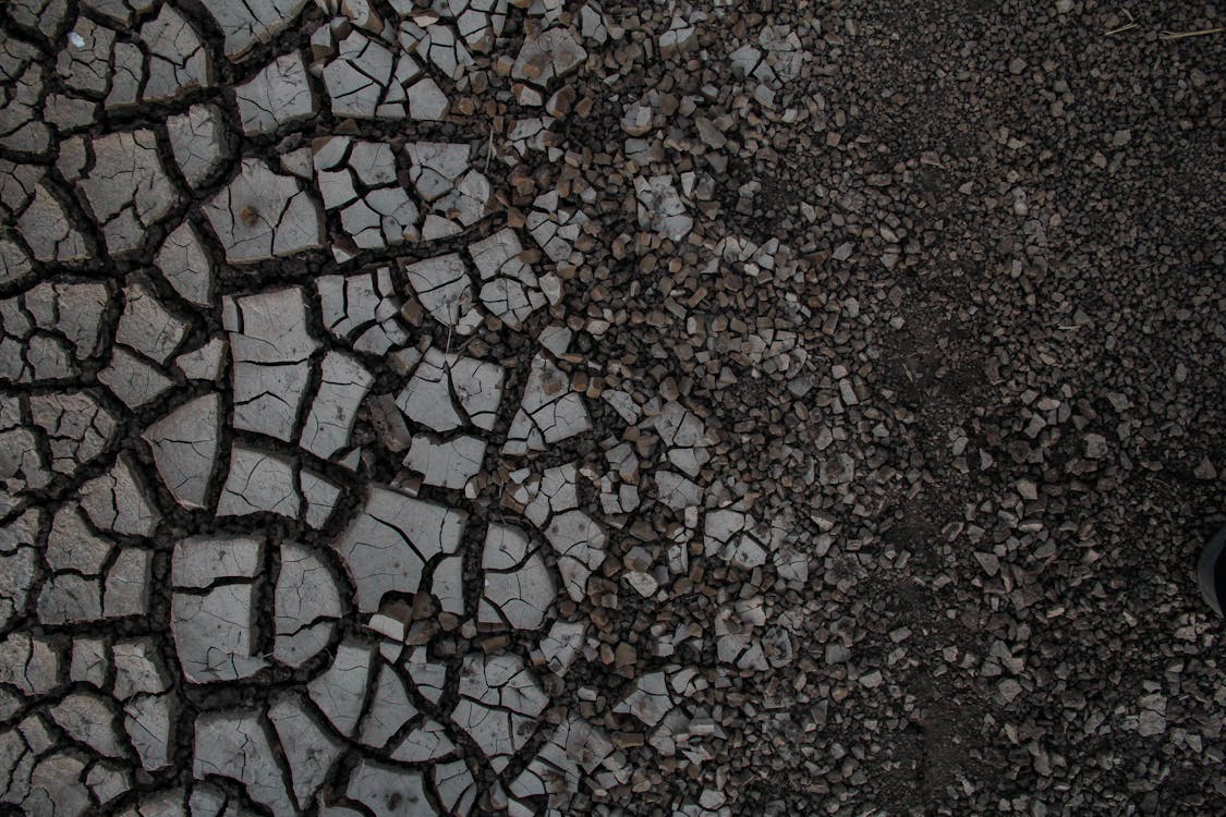 Drought · Free Stock Photo Drought · Free Stock Photo