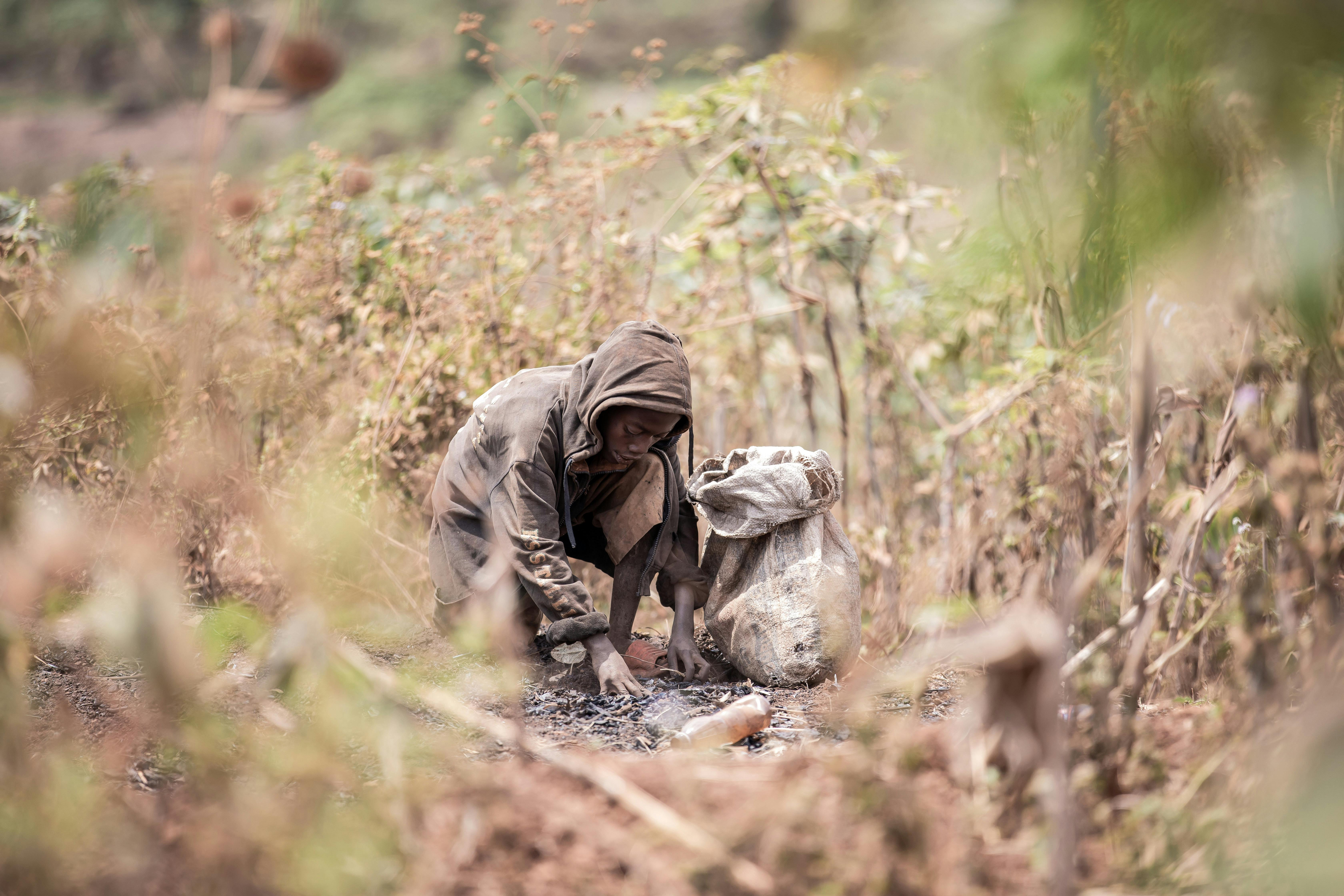 Man Planting Trees · Free Stock Photo