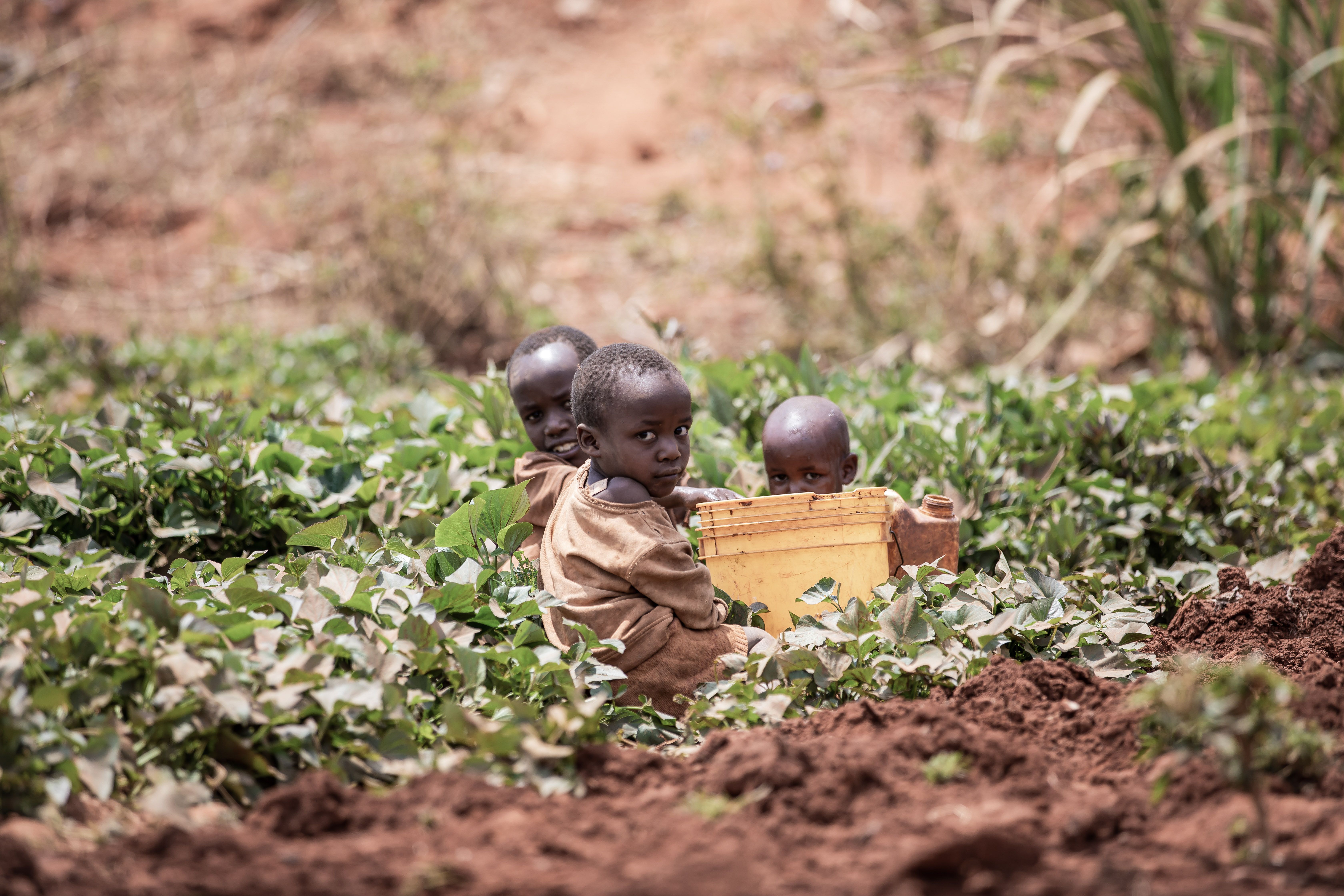 Kids with Bucket in Field · Free Stock Photo