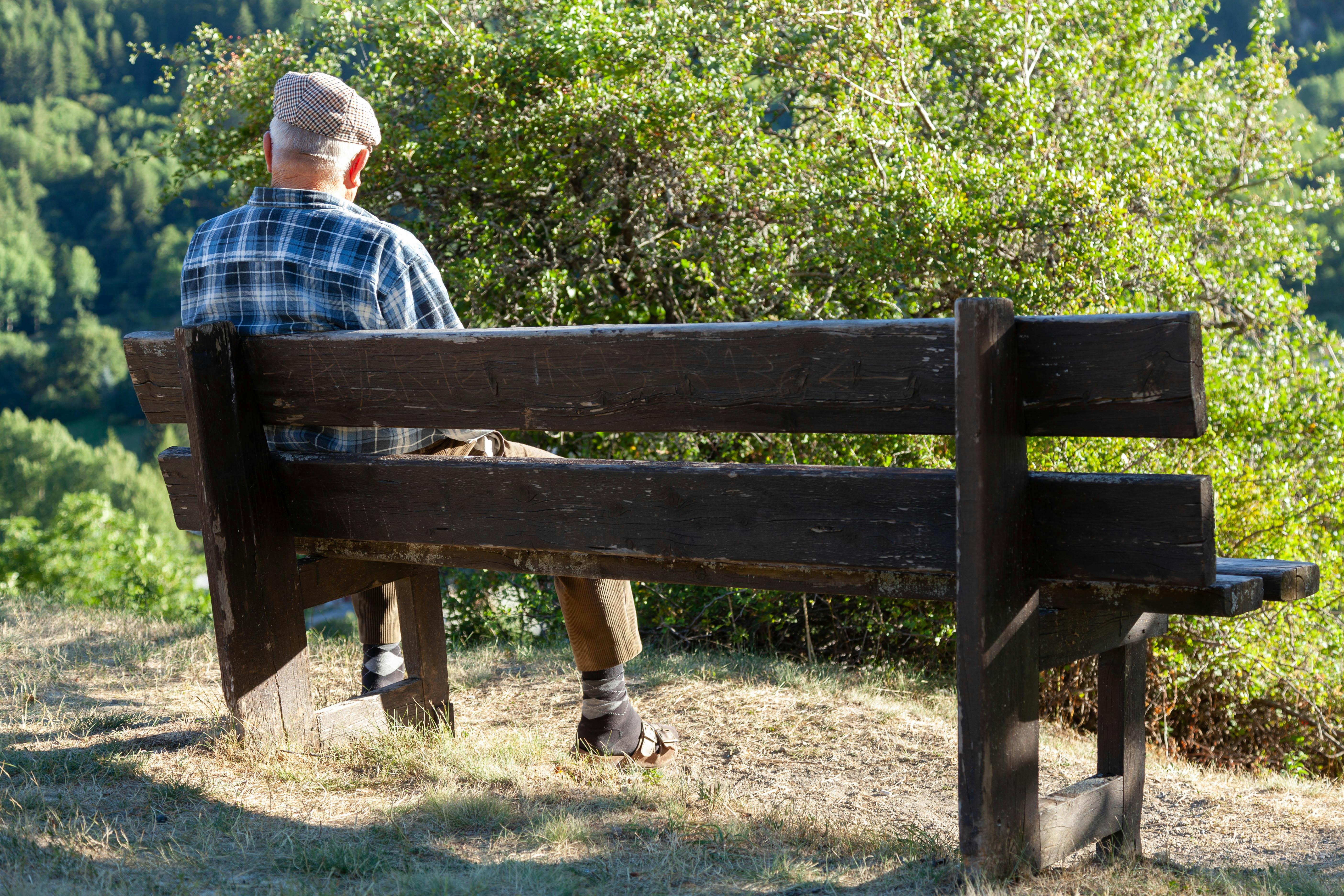 Back View of Man in Shirt Sitting on Bench near Tree · Free Stock Photo