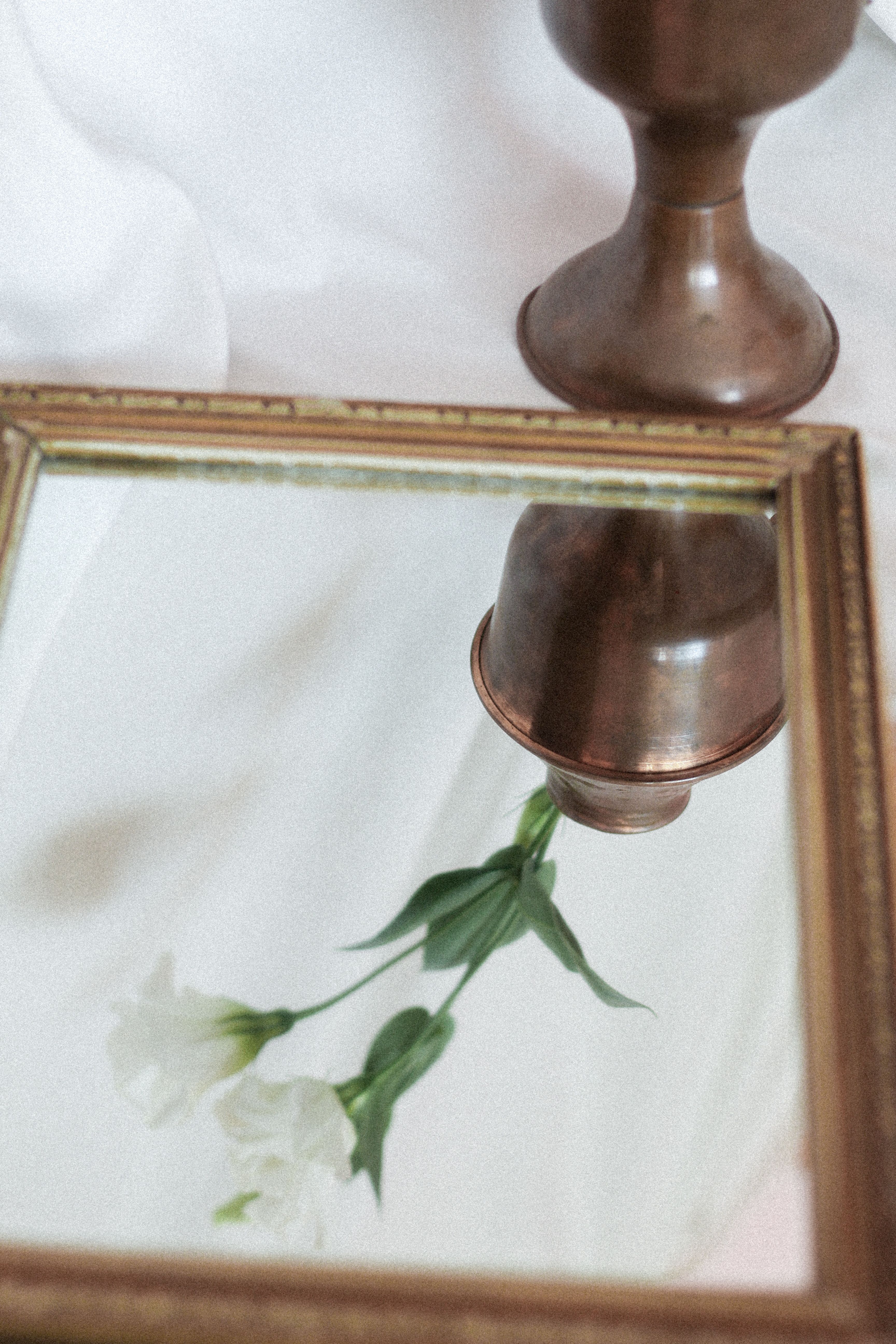 Flowers and Vase Reflection in Mirror · Free Stock Photo