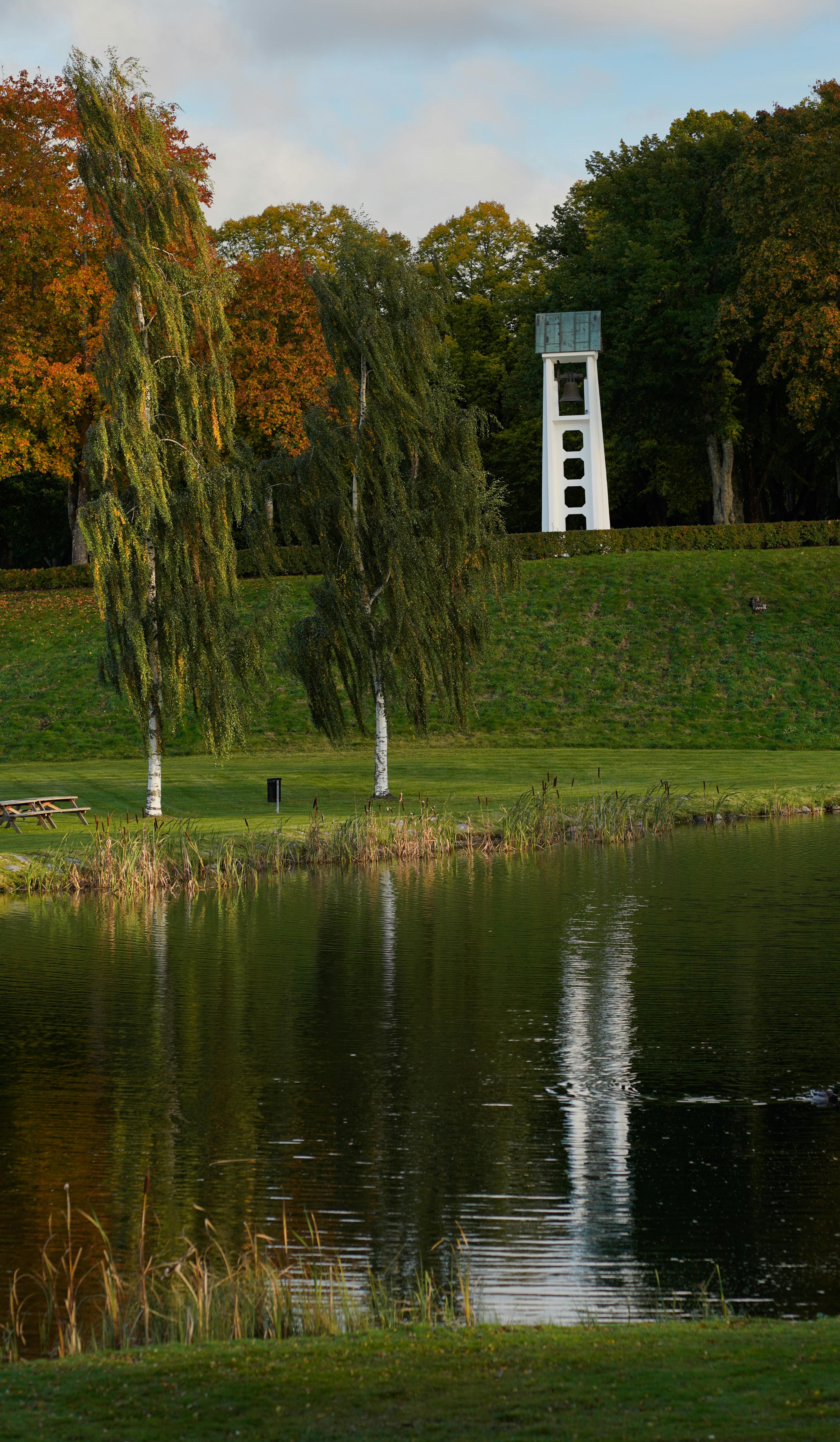 Trees around Pond in Park · Free Stock Photo
