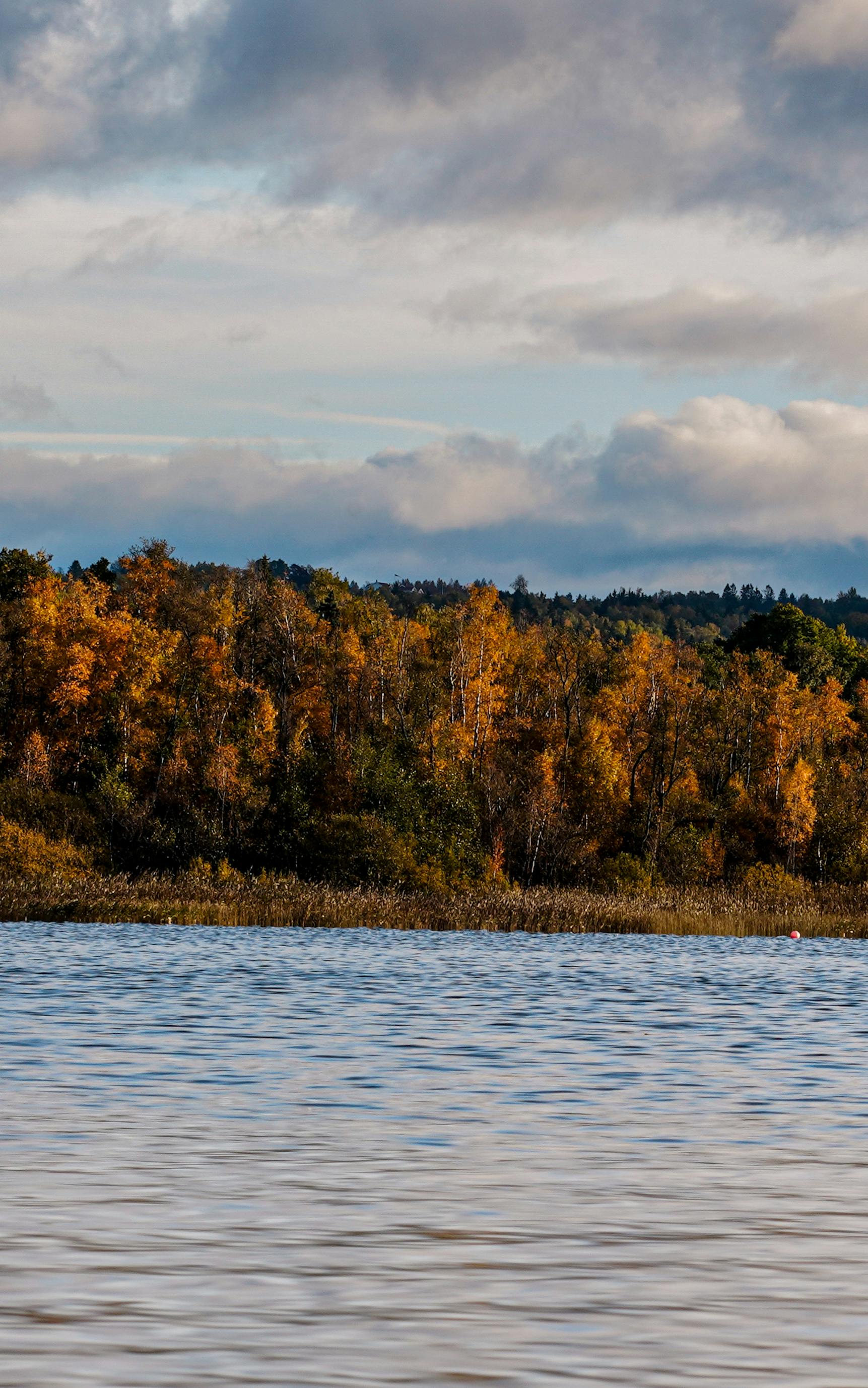 Bridge and Trees around River in Autumn · Free Stock Photo