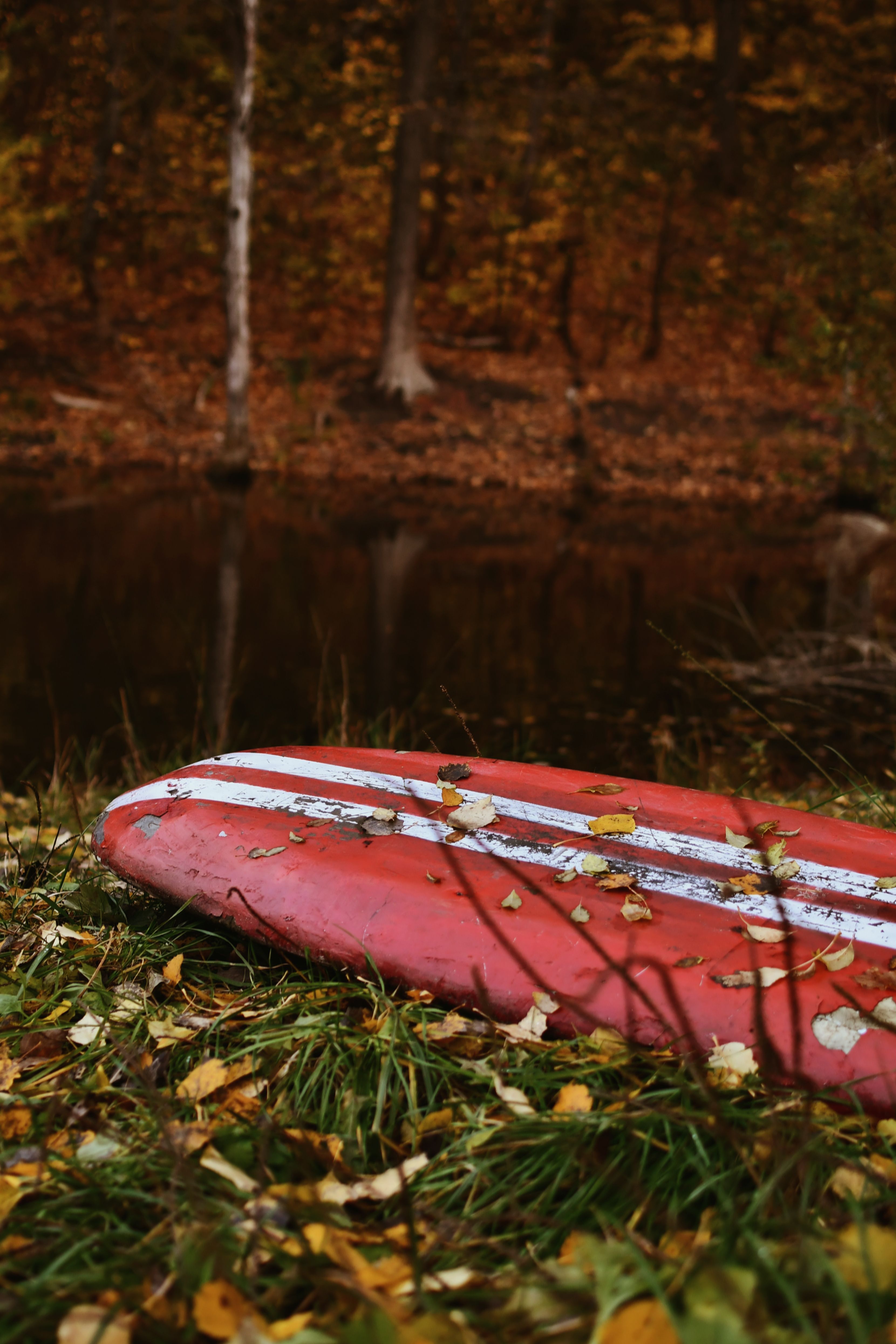 Surfboard on Ground near River in Forest · Free Stock Photo