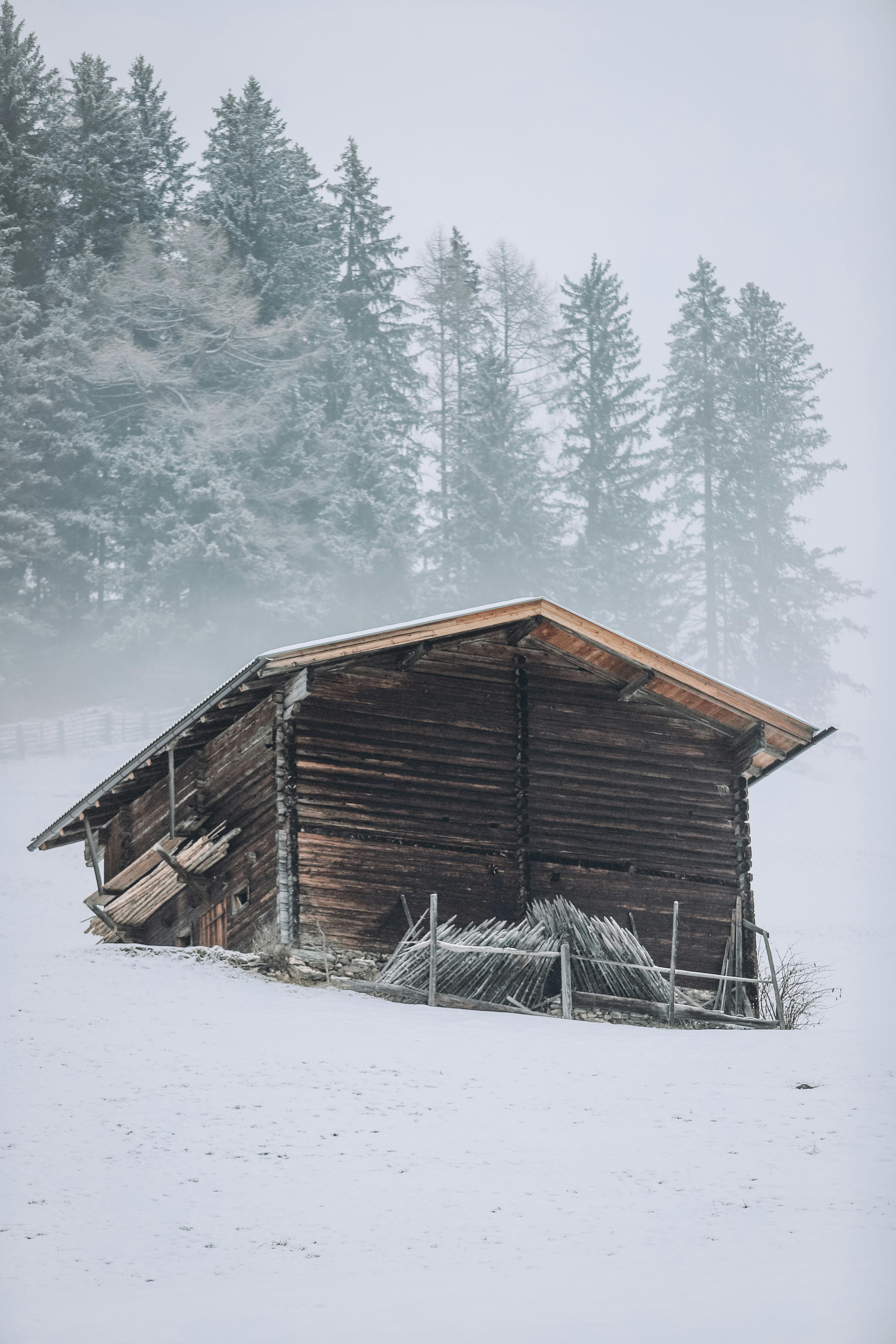 Rustic Shack in Winter · Free Stock Photo