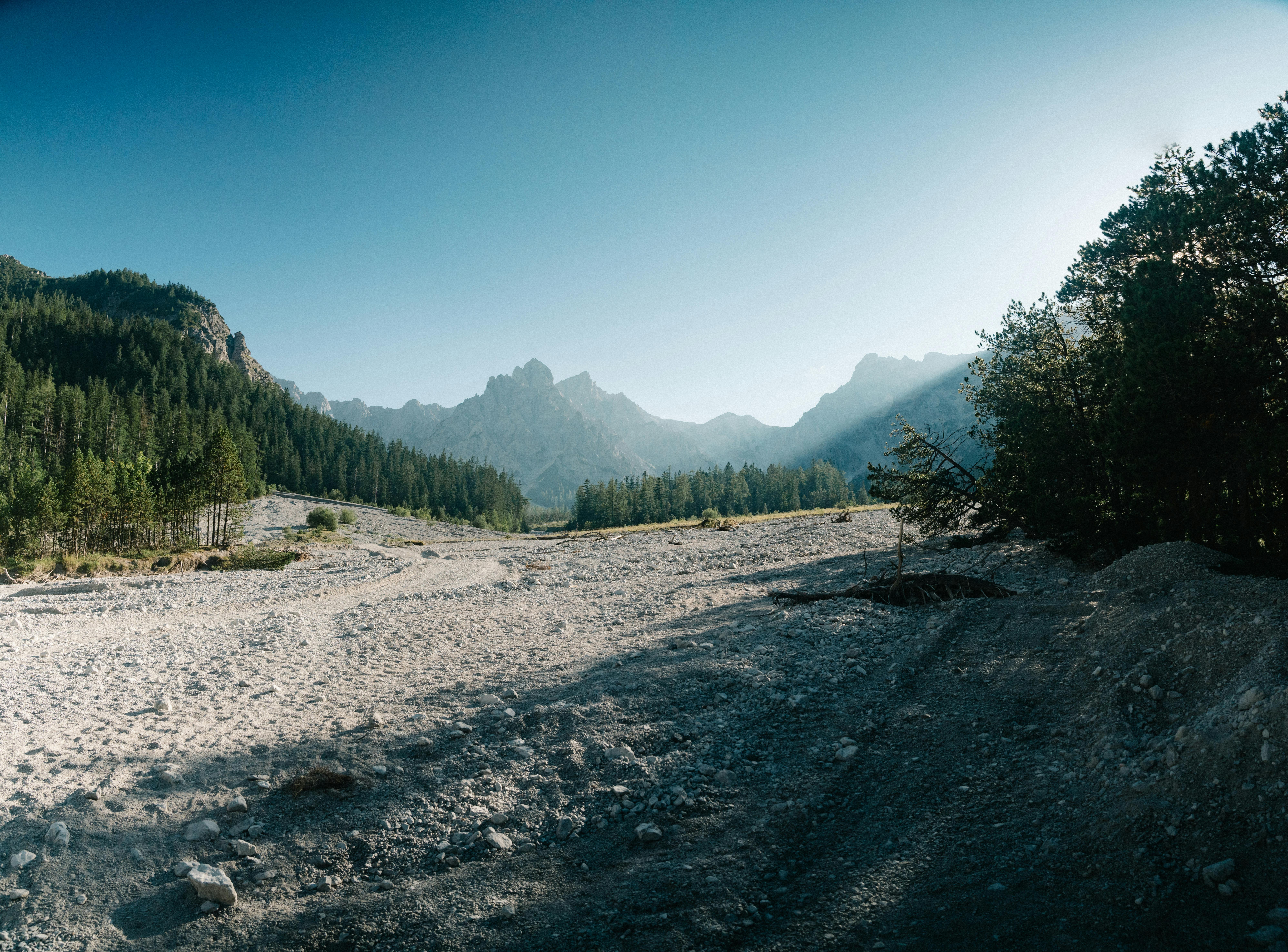Barren Valley Surrounded by Mountains and Forest · Free Stock Photo