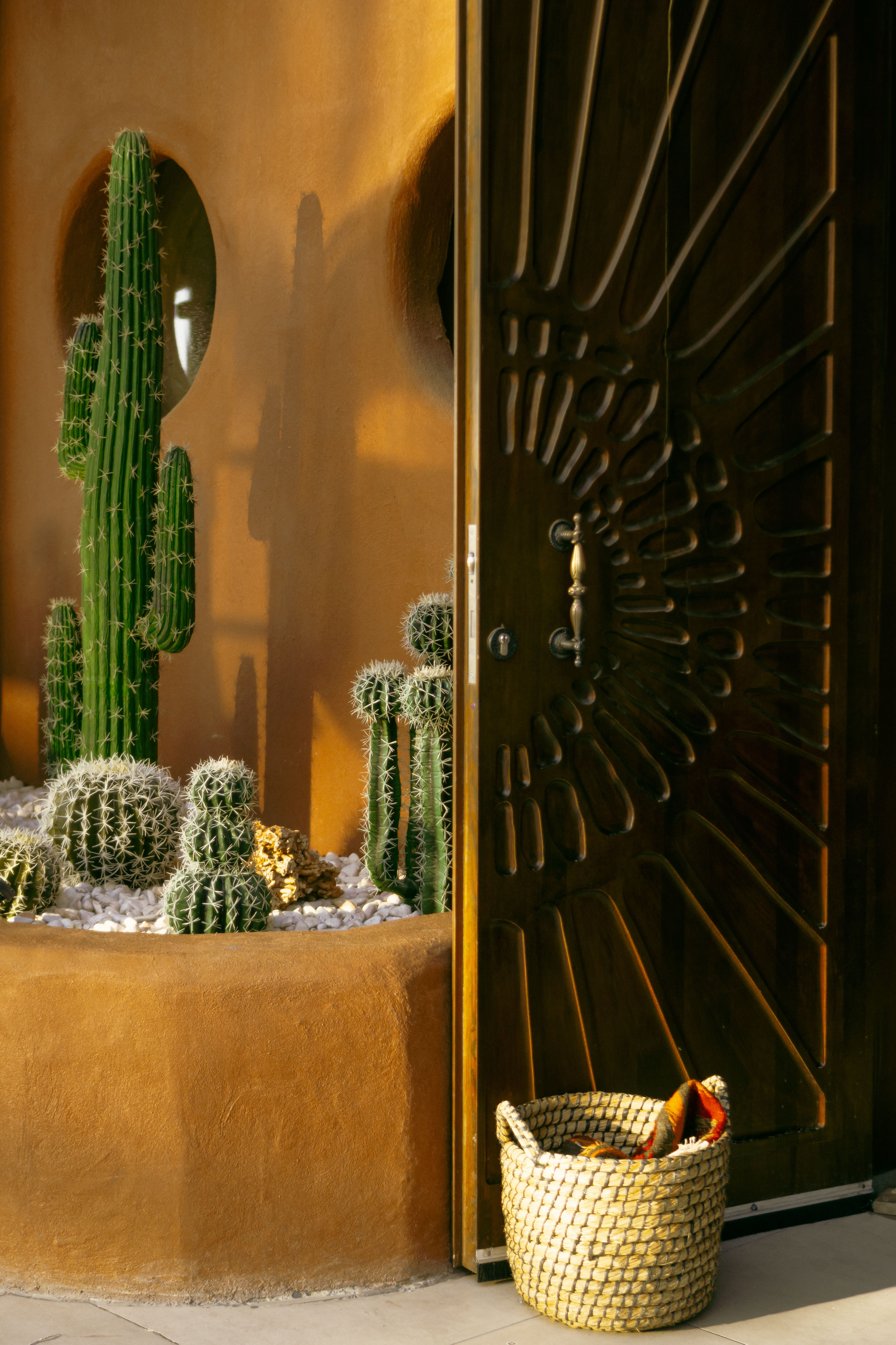 Cacti by Door · Free Stock Photo