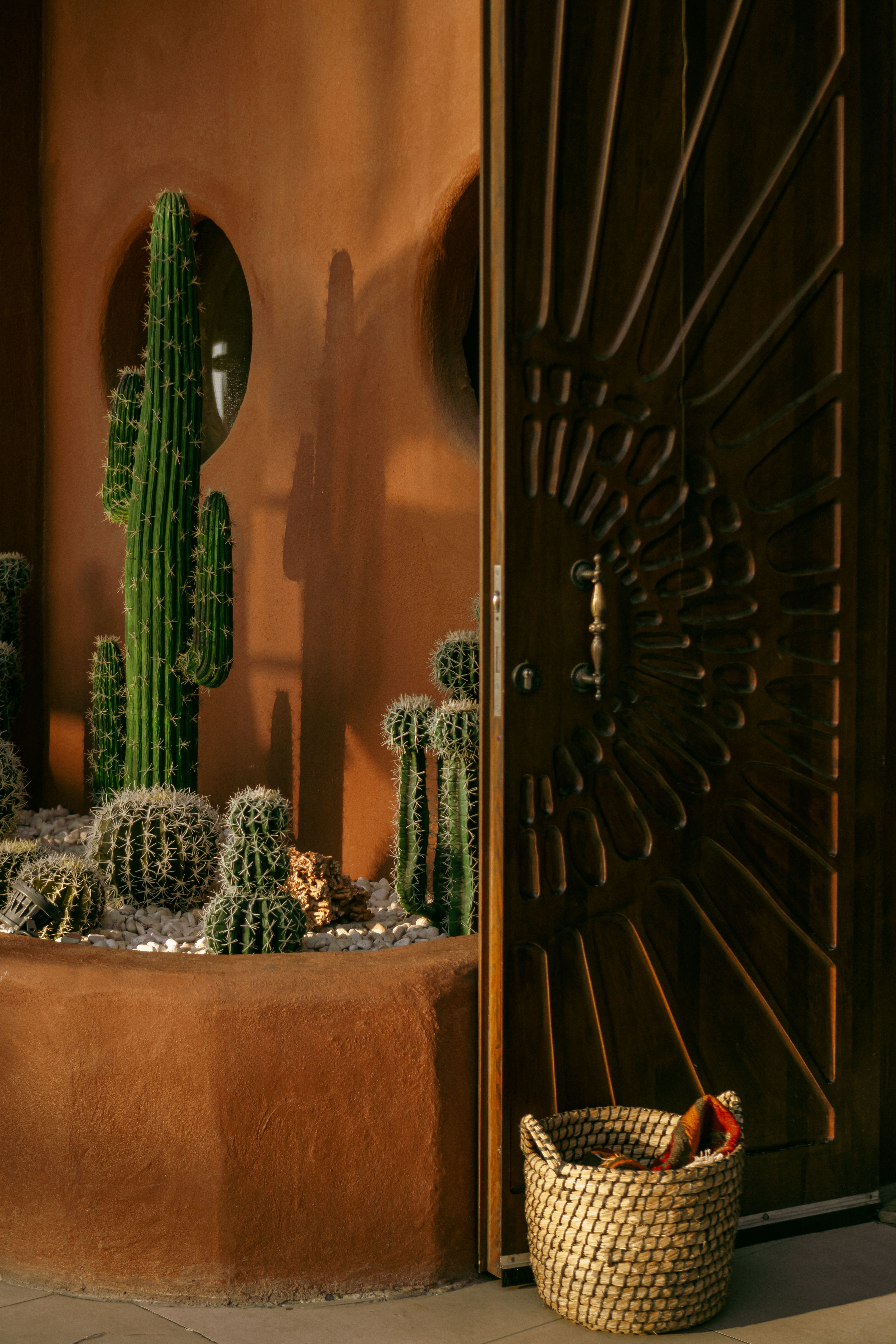 Cactus Plants near Door · Free Stock Photo