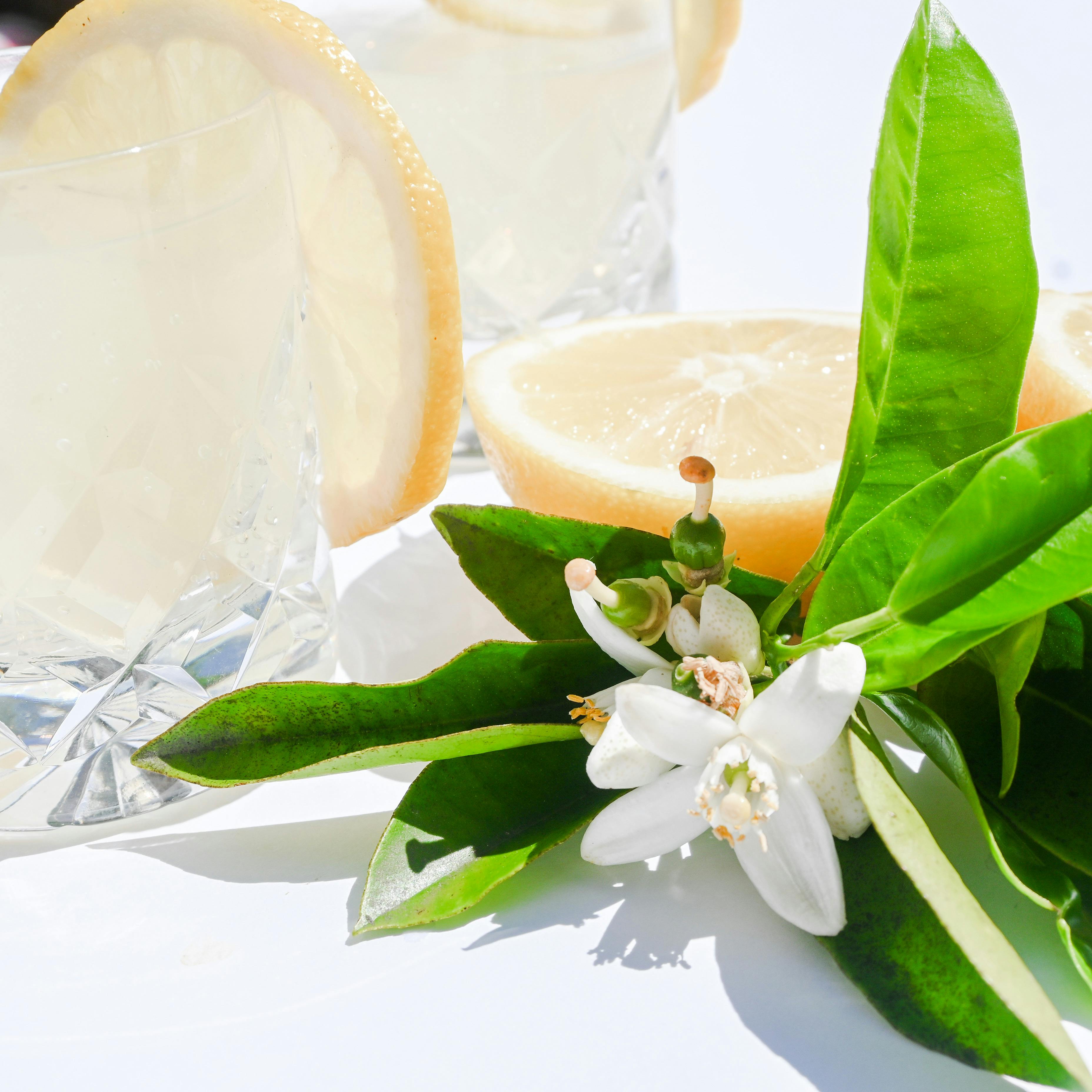 Crystal Drinking Glasses Decorated with Orange Slices and Delicate ...