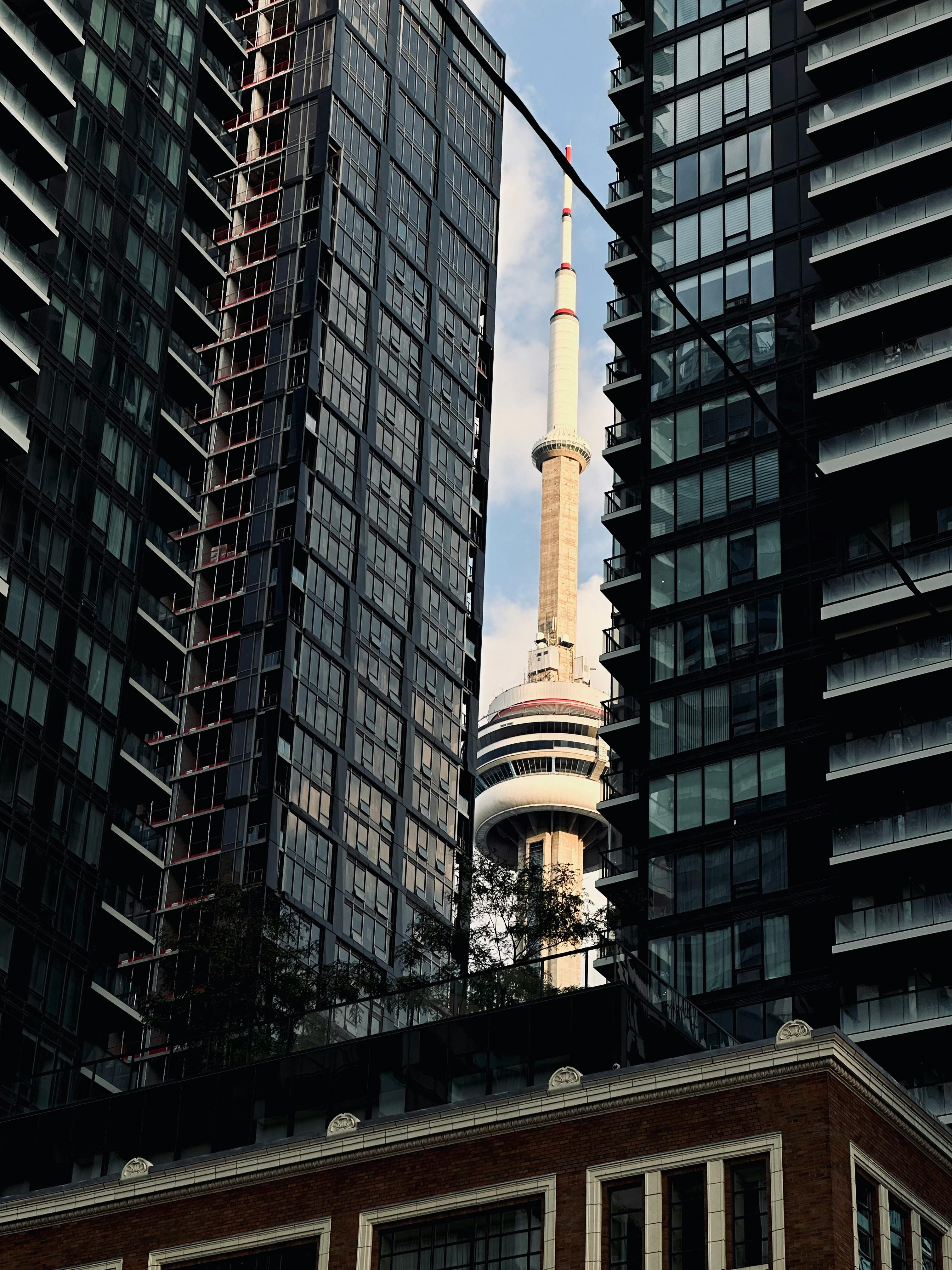High Rise Buildings Under Blue Sky · Free Stock Photo