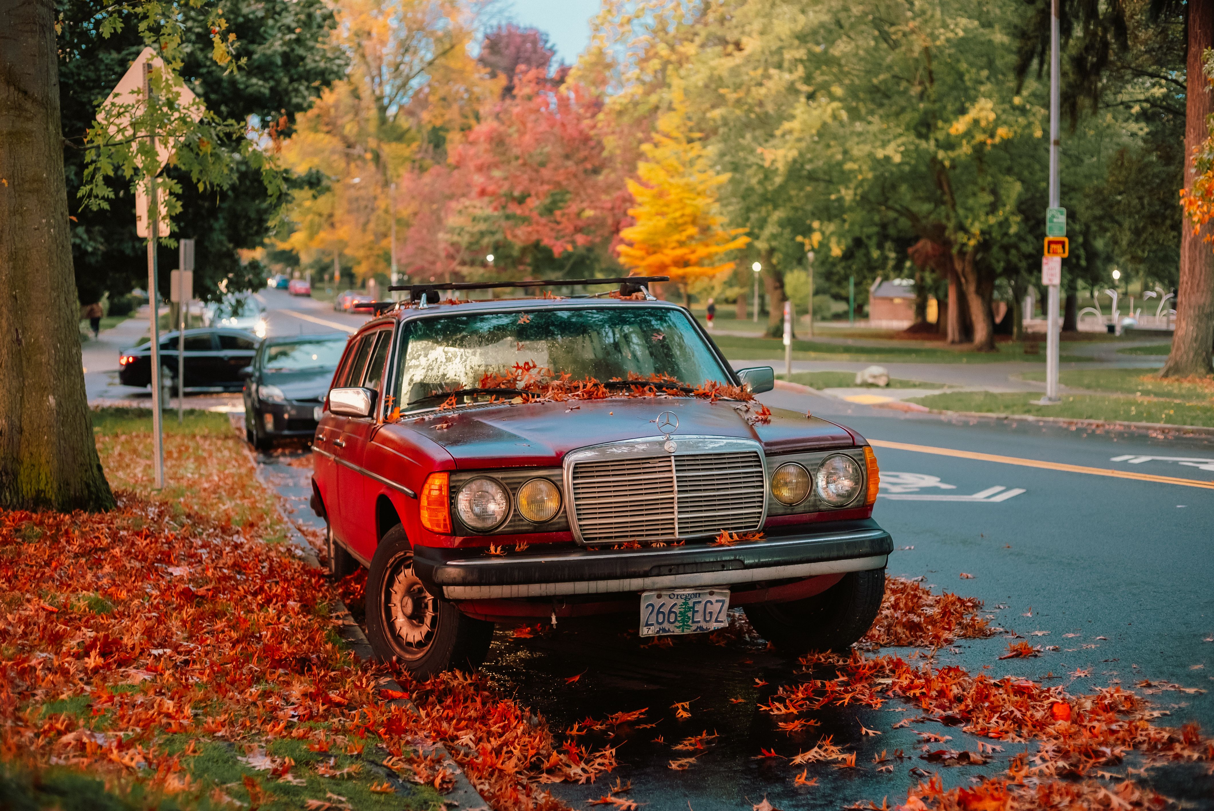 Old Red Mercedes W123 Station Wagon Covered with Autumn Leaves · Free ...