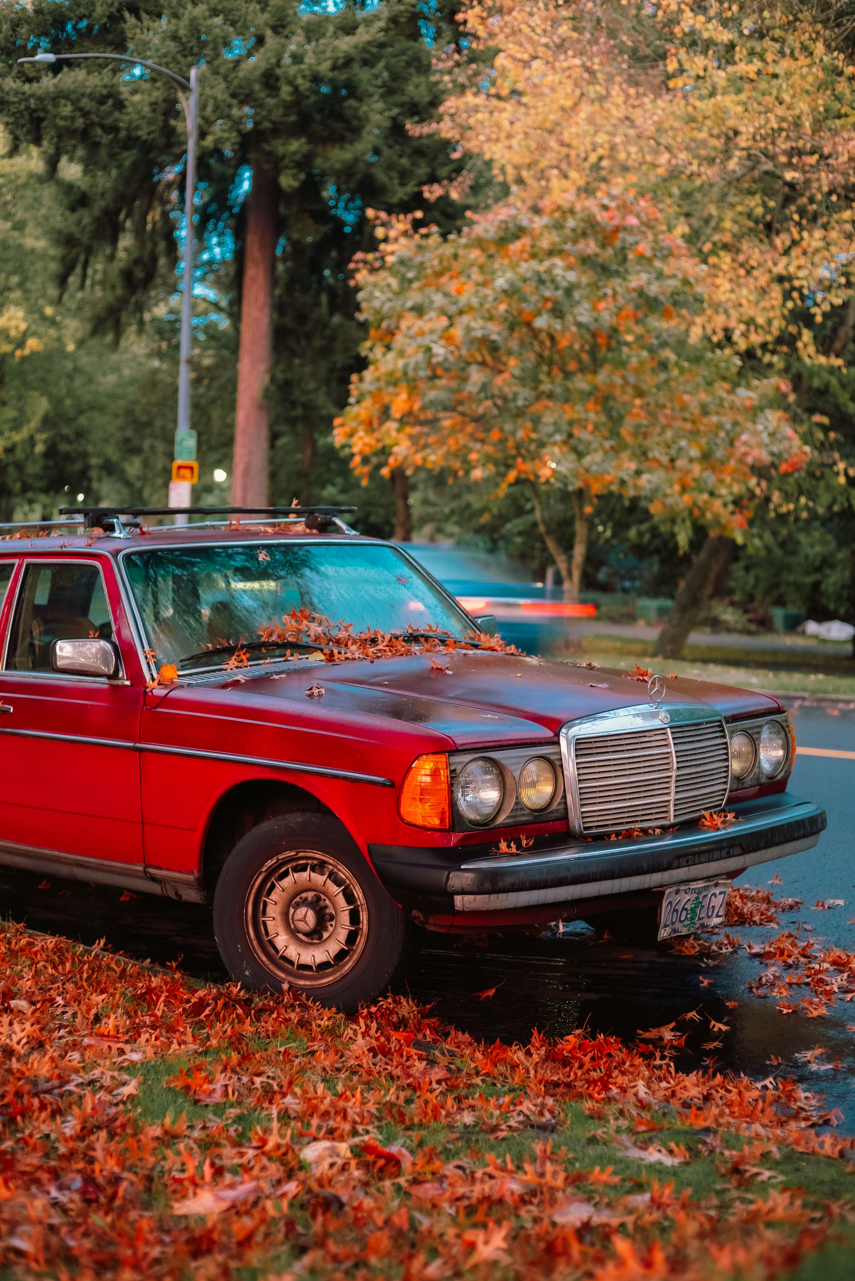 Old Red Mercedes W123 Covered with Autumn Leaves · Free Stock Photo