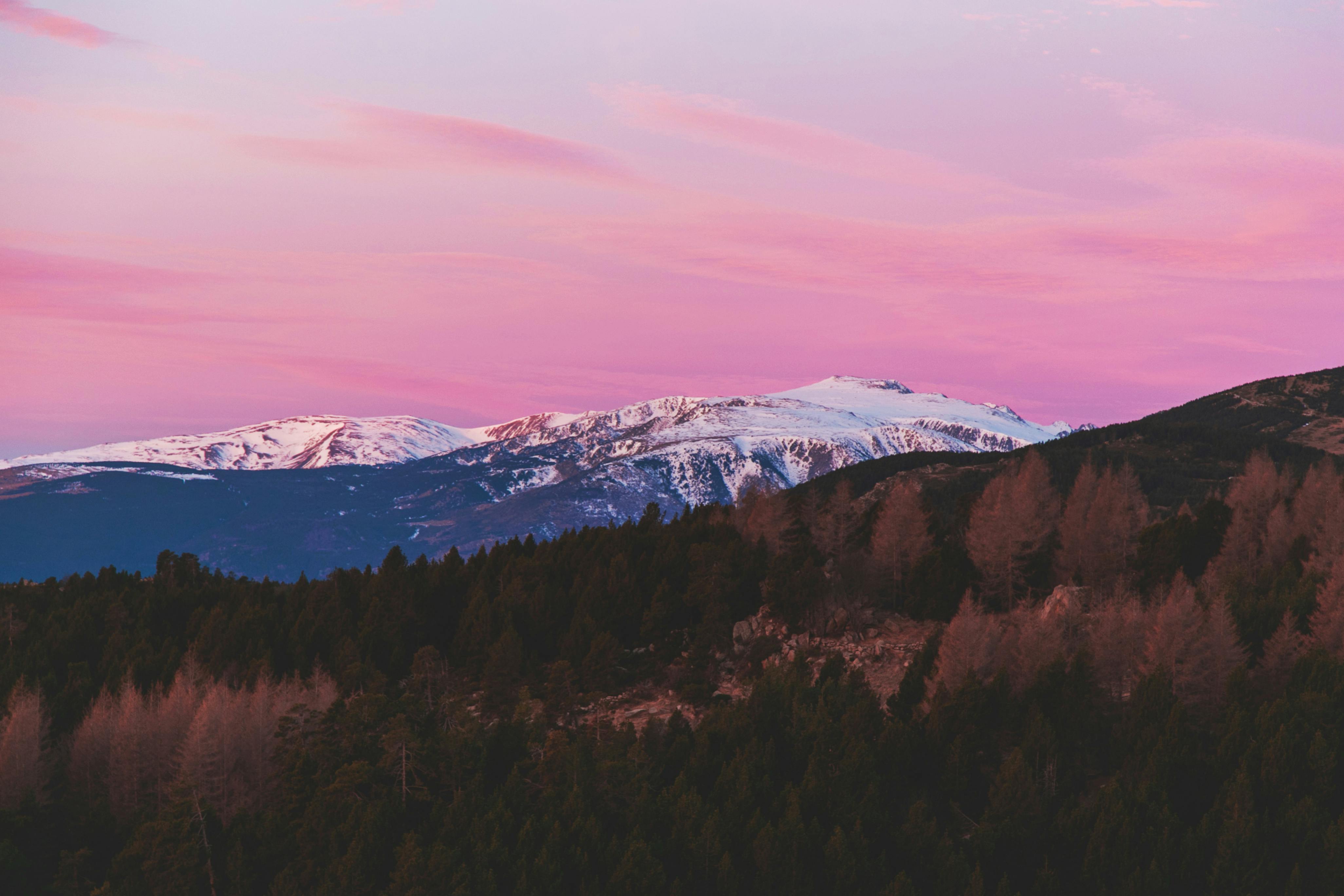 Drone View Trees Photos, Download The BEST Free Drone View Trees Stock ...