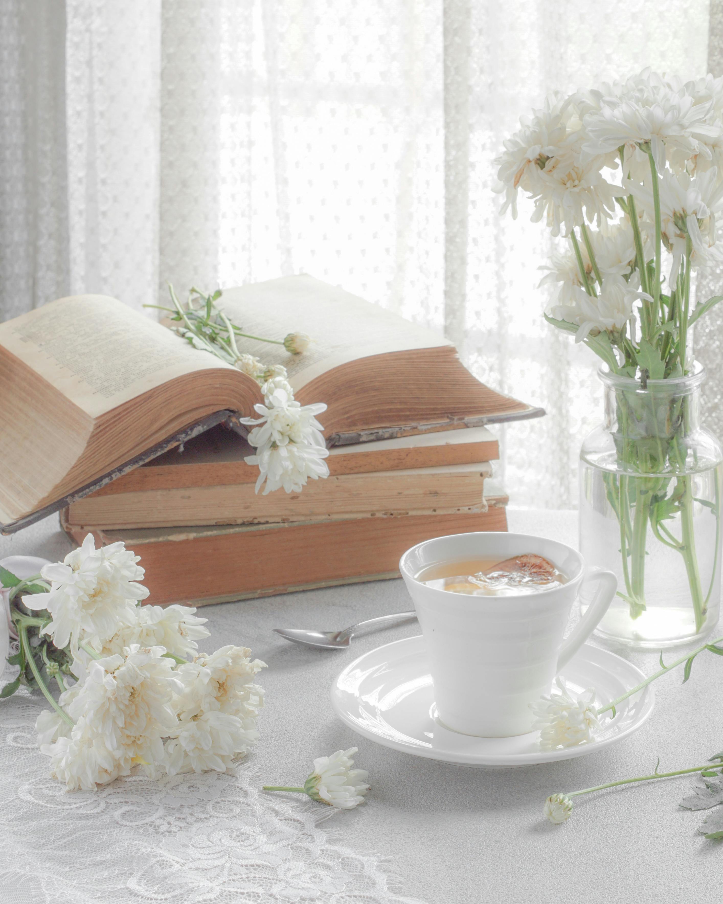 Tea Morning · Free Stock Photo