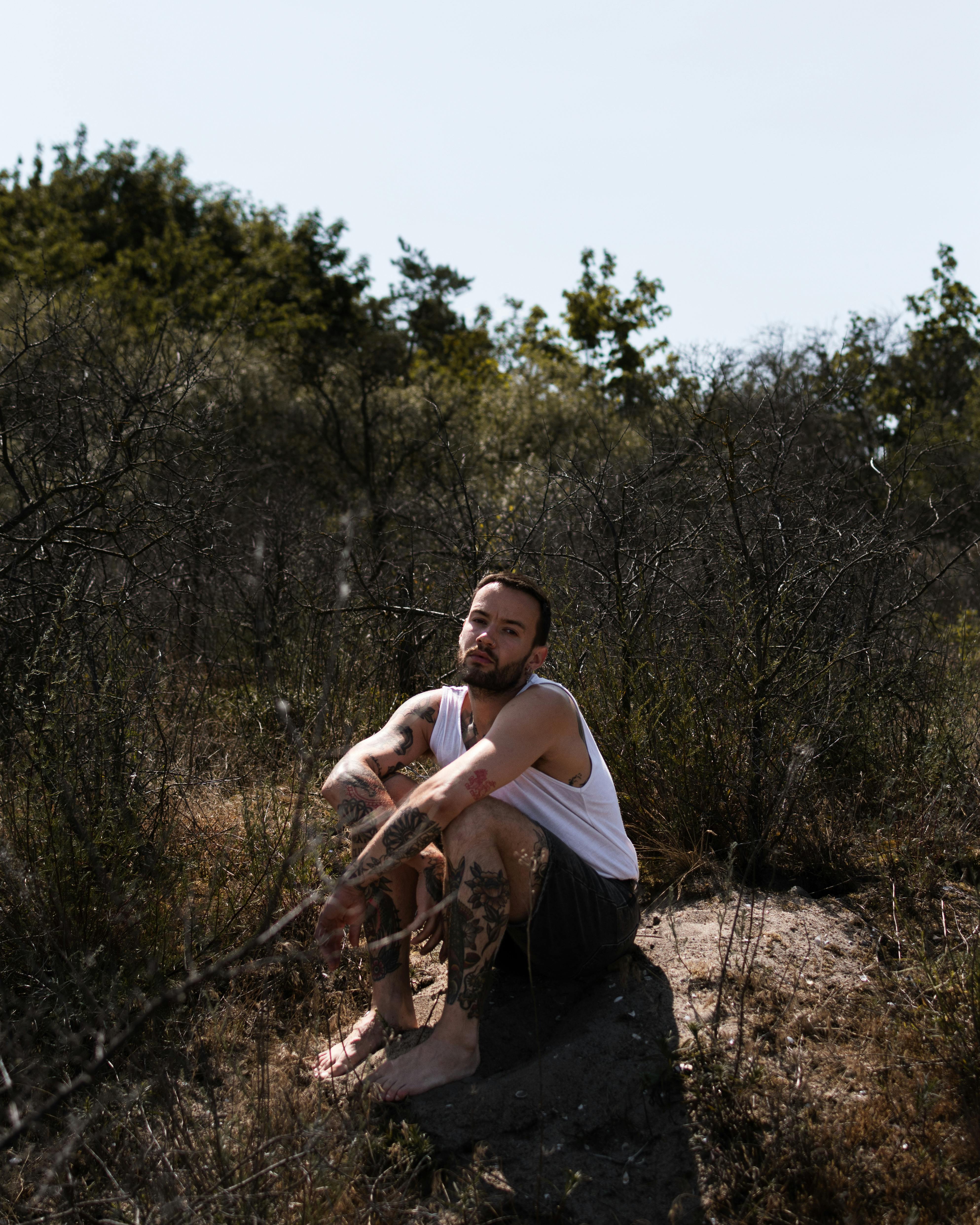 asian steppes leafless shrubs