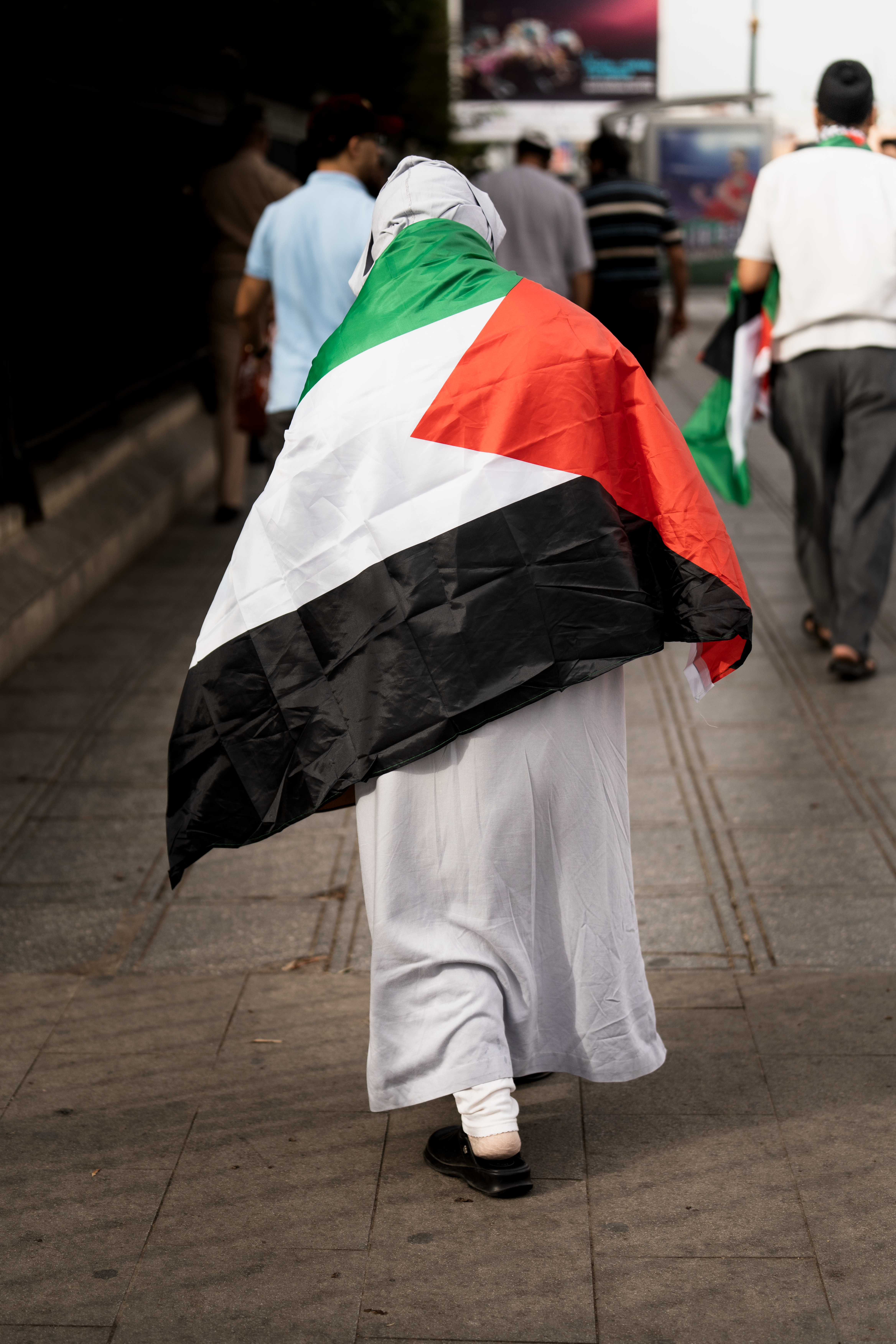 Back View of Woman Carrying Flag of UAE · Free Stock Photo
