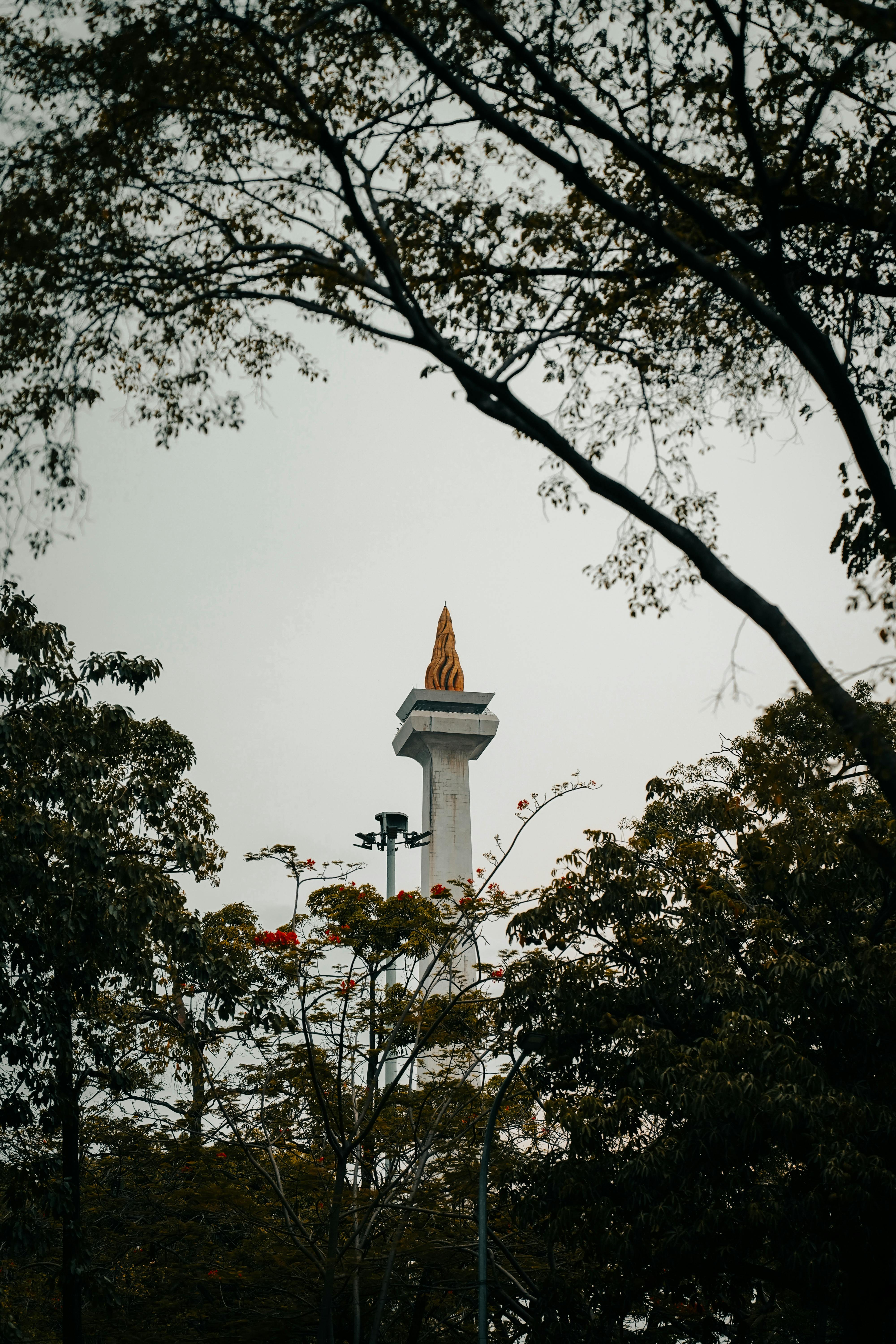 Foto de stock gratuita sobre alto, arboles, indonesia, jacarta ...
