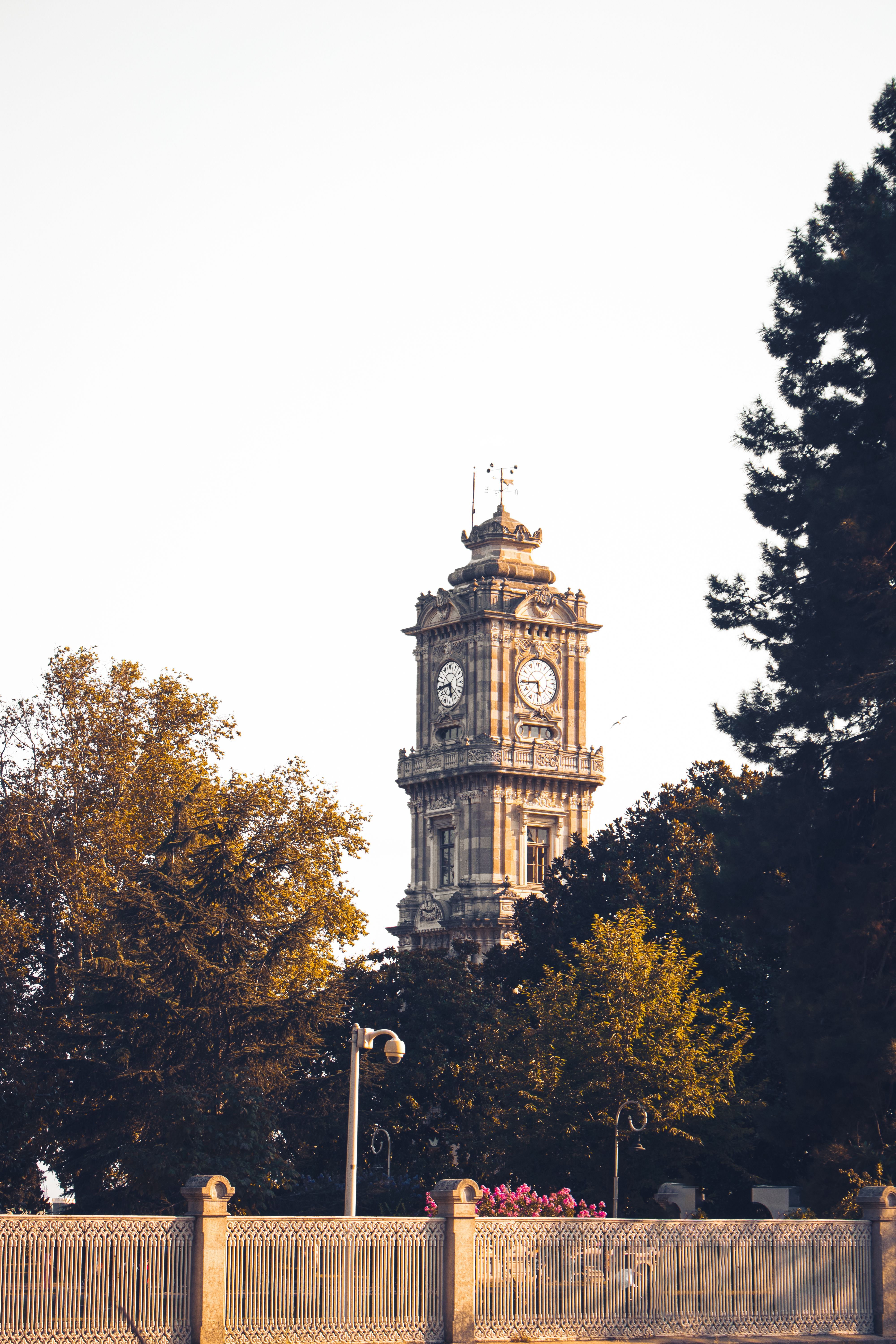 Domabahce Clock Tower behind Trees · Free Stock Photo