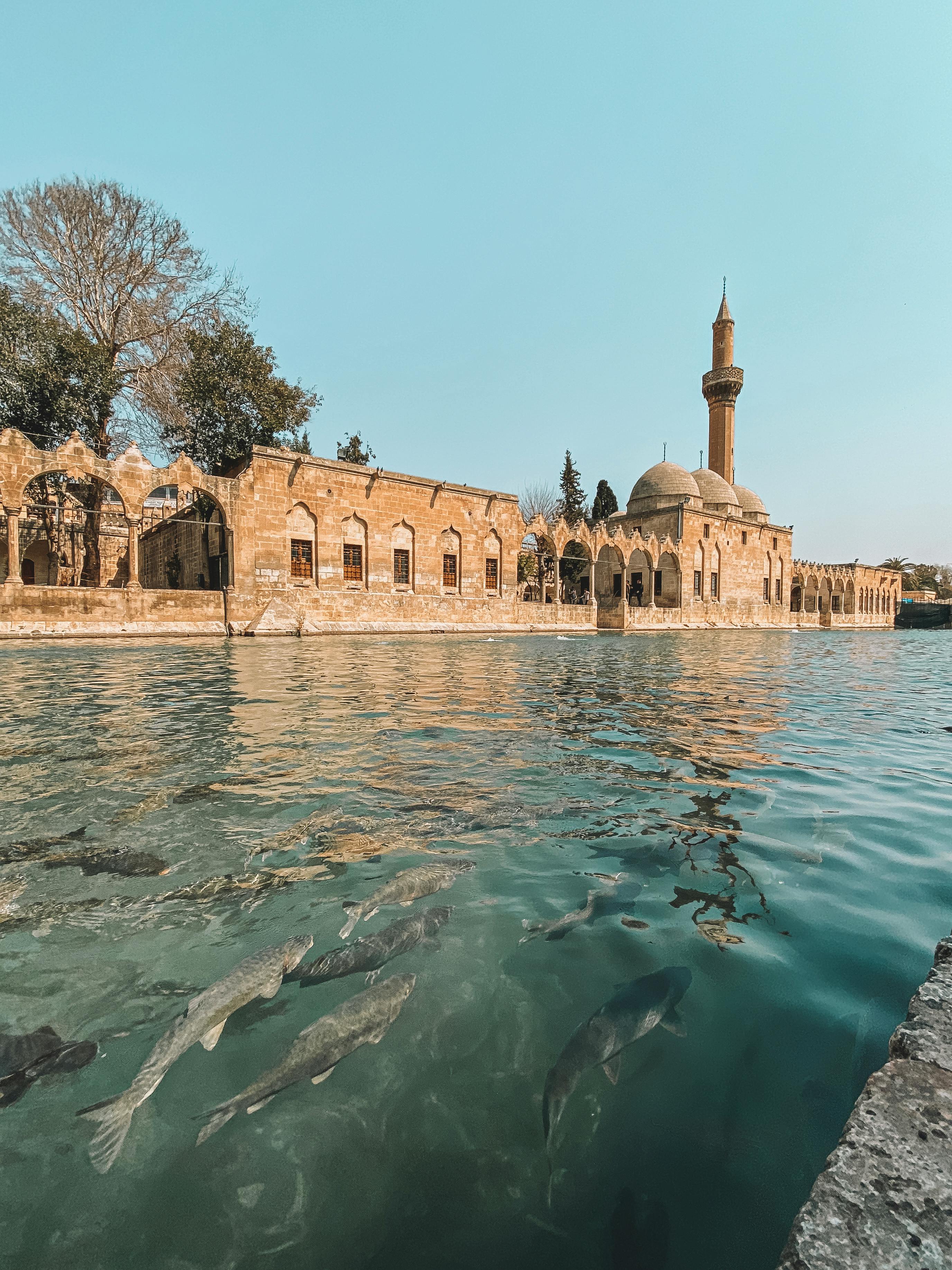 View of the Pool of Abraham, Urfa, Turkey · Free Stock Photo
