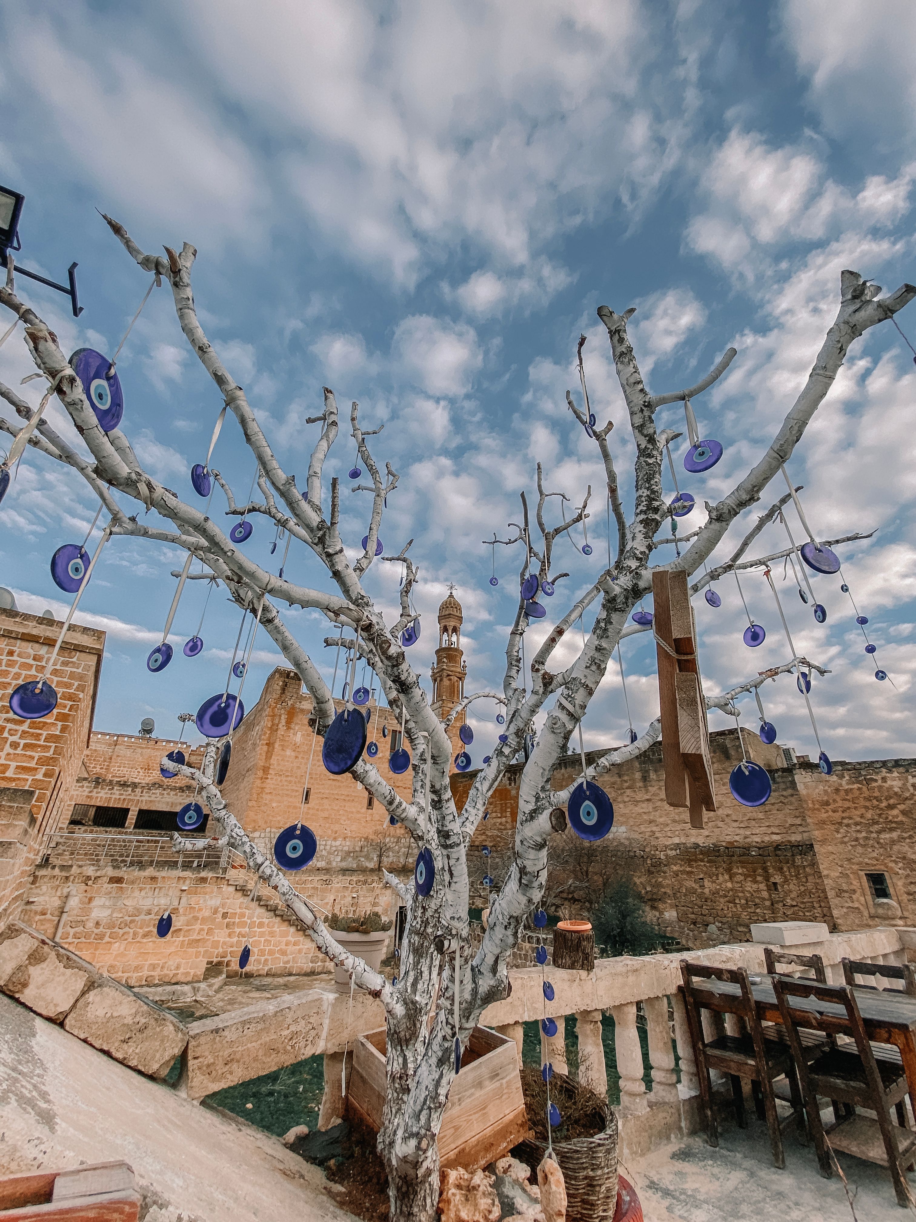 Nazar Amulets on Bare Tree in Town · Free Stock Photo