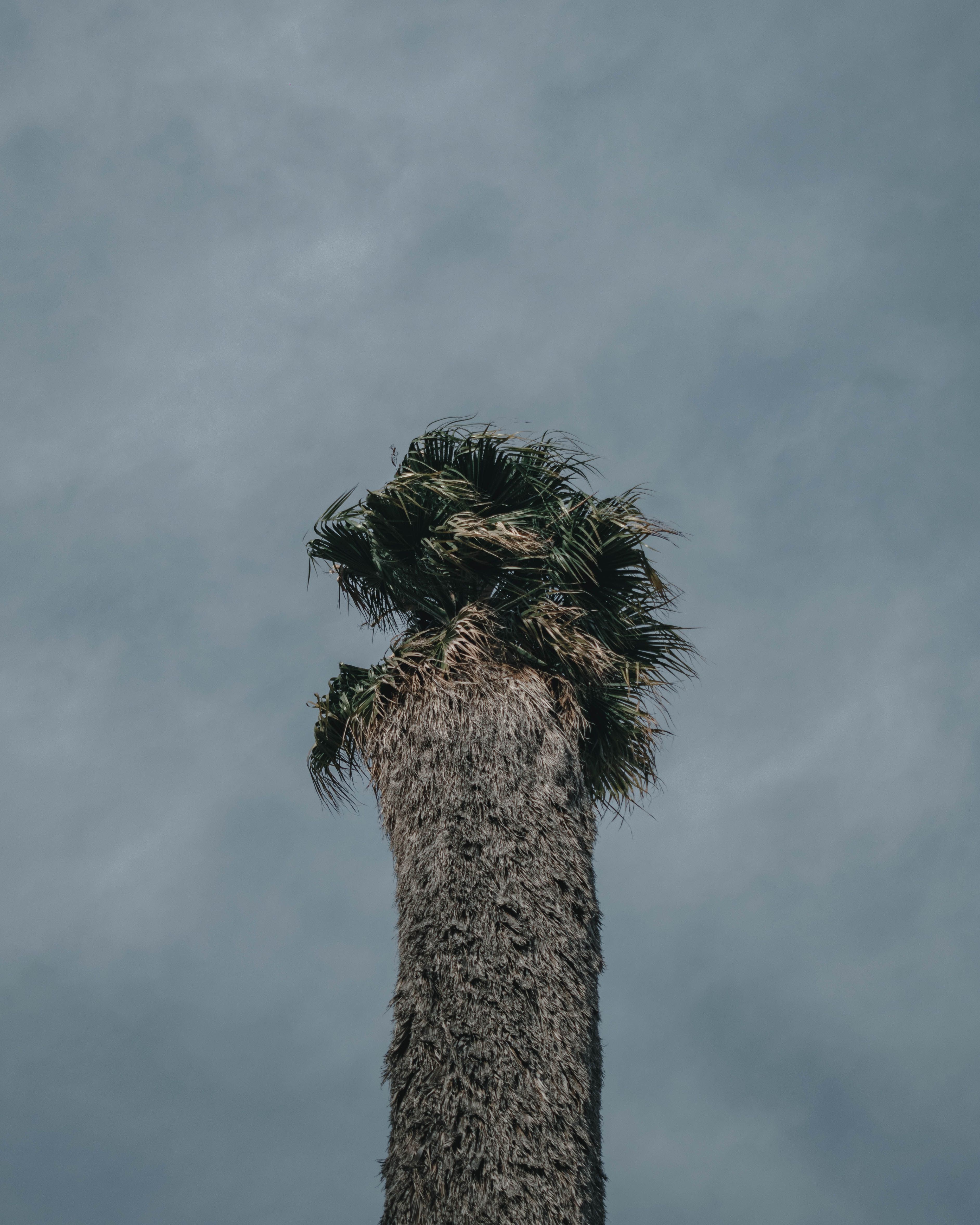 Foto de stock gratuita sobre 4k wallpaper, al aire libre, alto, américa ...