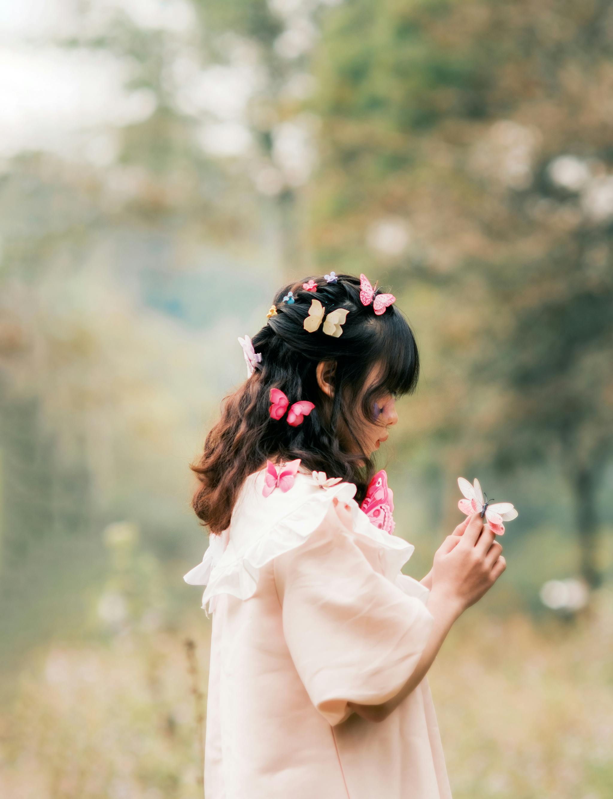 Butterflies Portrait Borders Photos, Download The BEST Free Butterflies ...